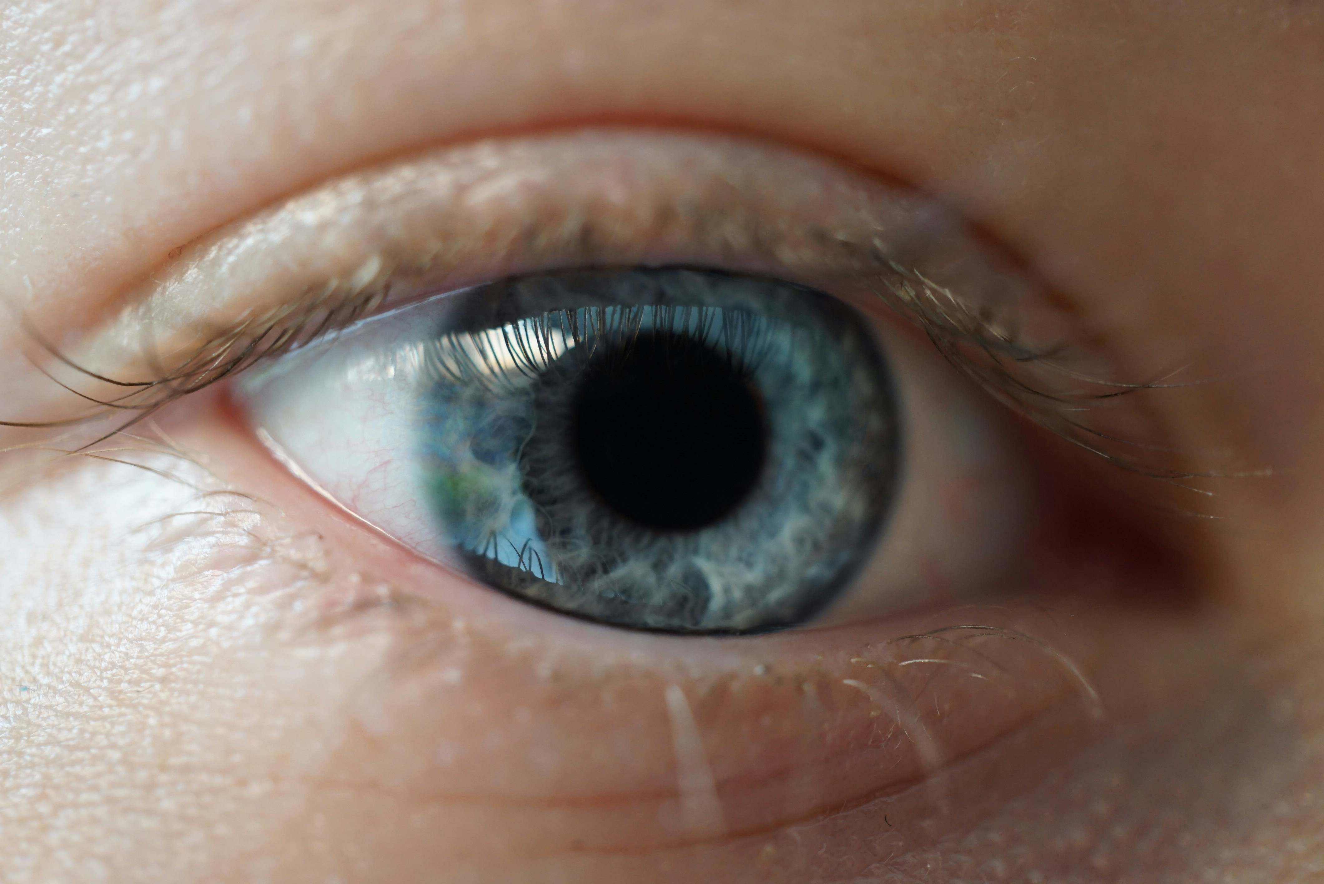 Close-up photography of human eye photo – Free Eye Image on Unsplash