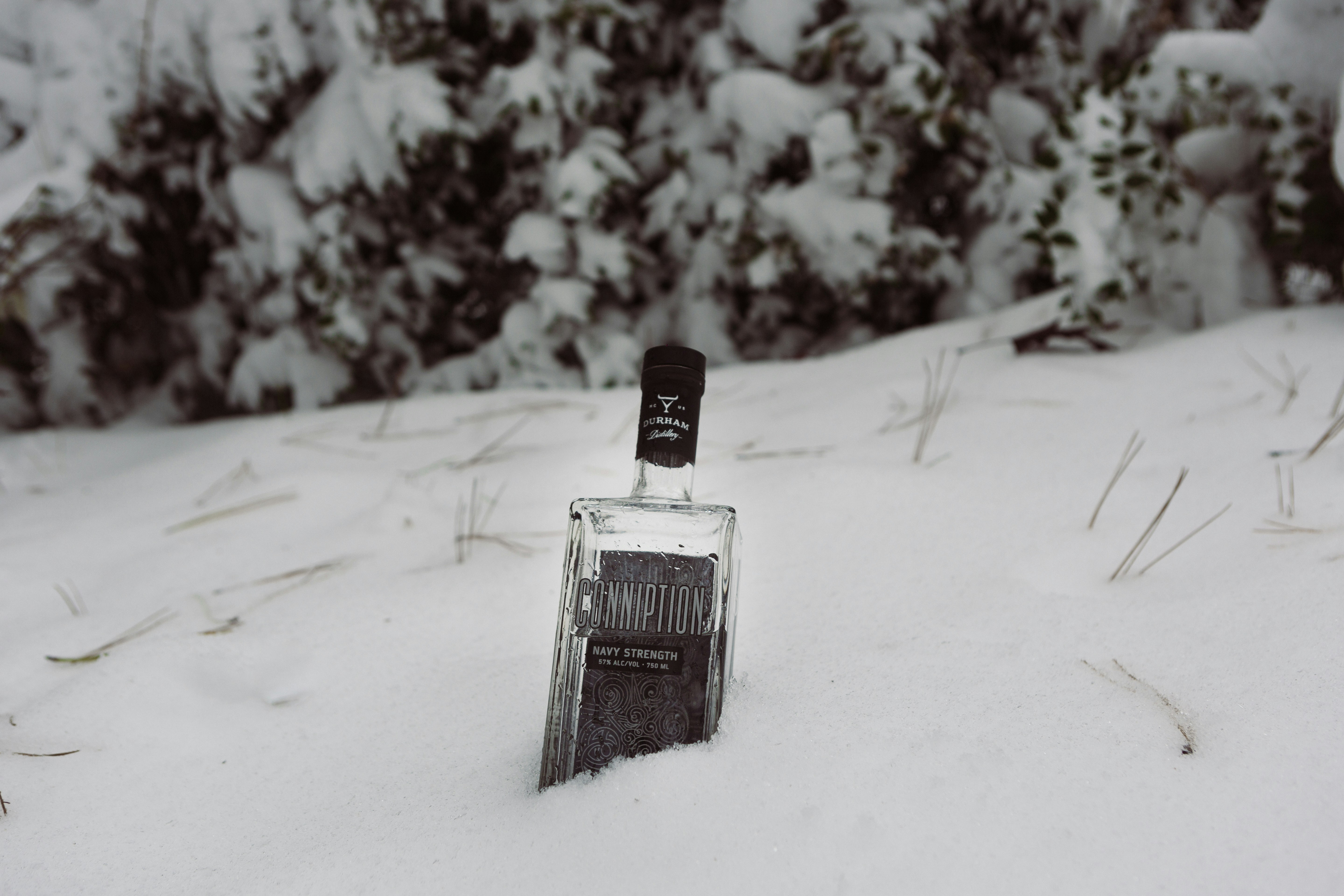 Winter's Quiet Elixir: A Bottle Emerges from Snow