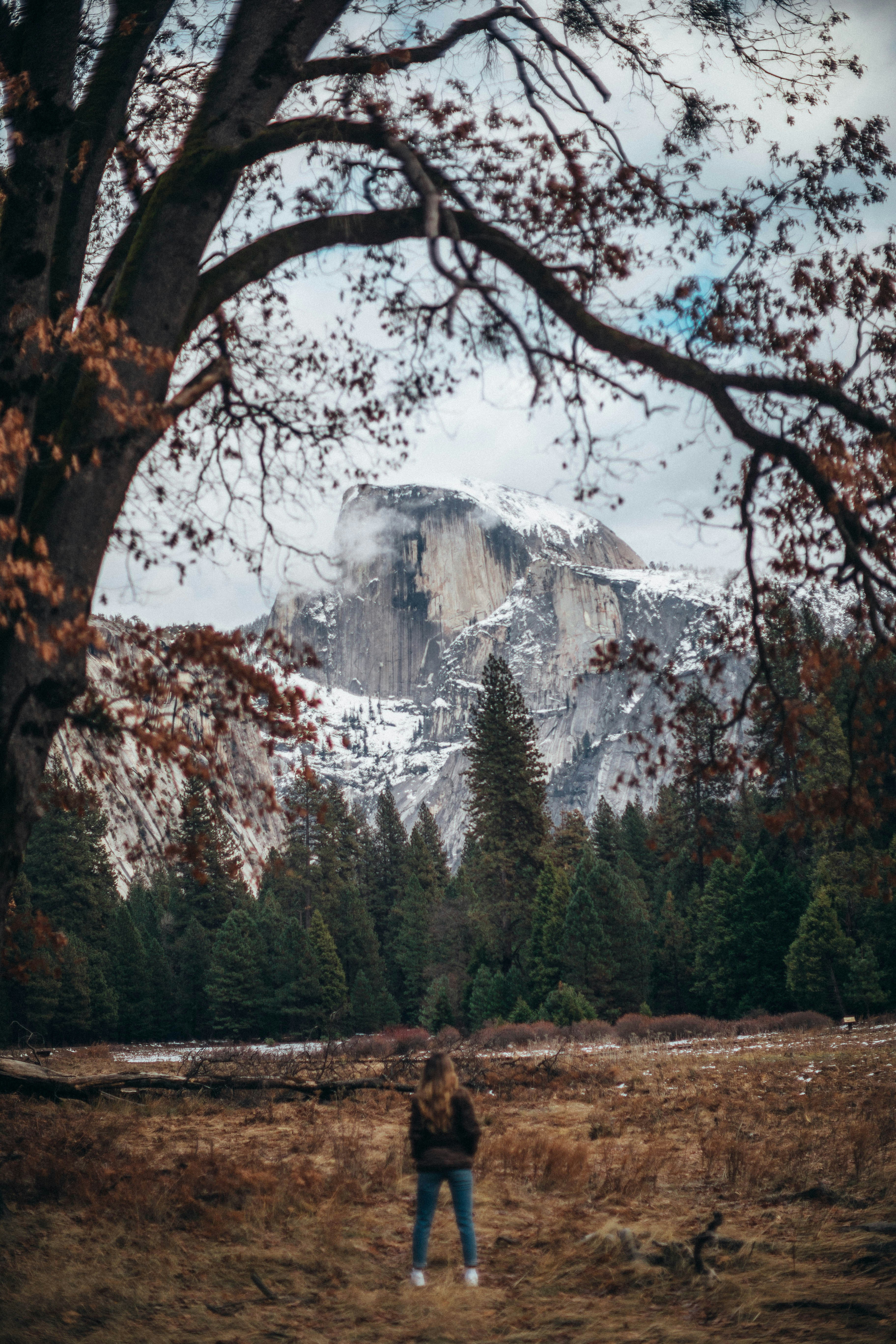 A lone figure stands in a meadow, gazing at a snow-capped mountain under a dramatic sky, framed by autumn foliage. The scene captures the tranquility of nature's vastness.