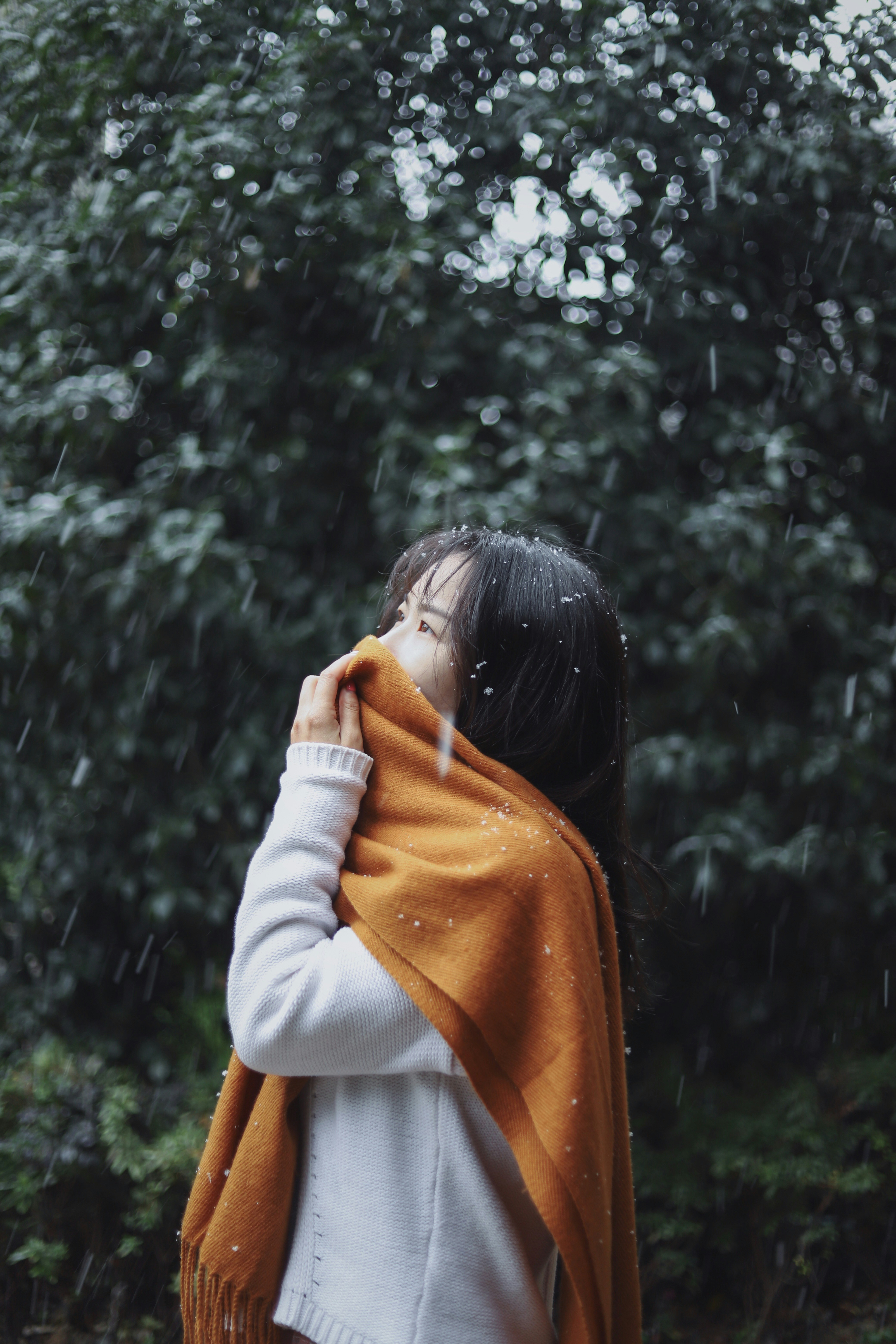 A woman wrapped in an orange shawl gazes upward, surrounded by softly falling snowflakes amidst lush greenery.