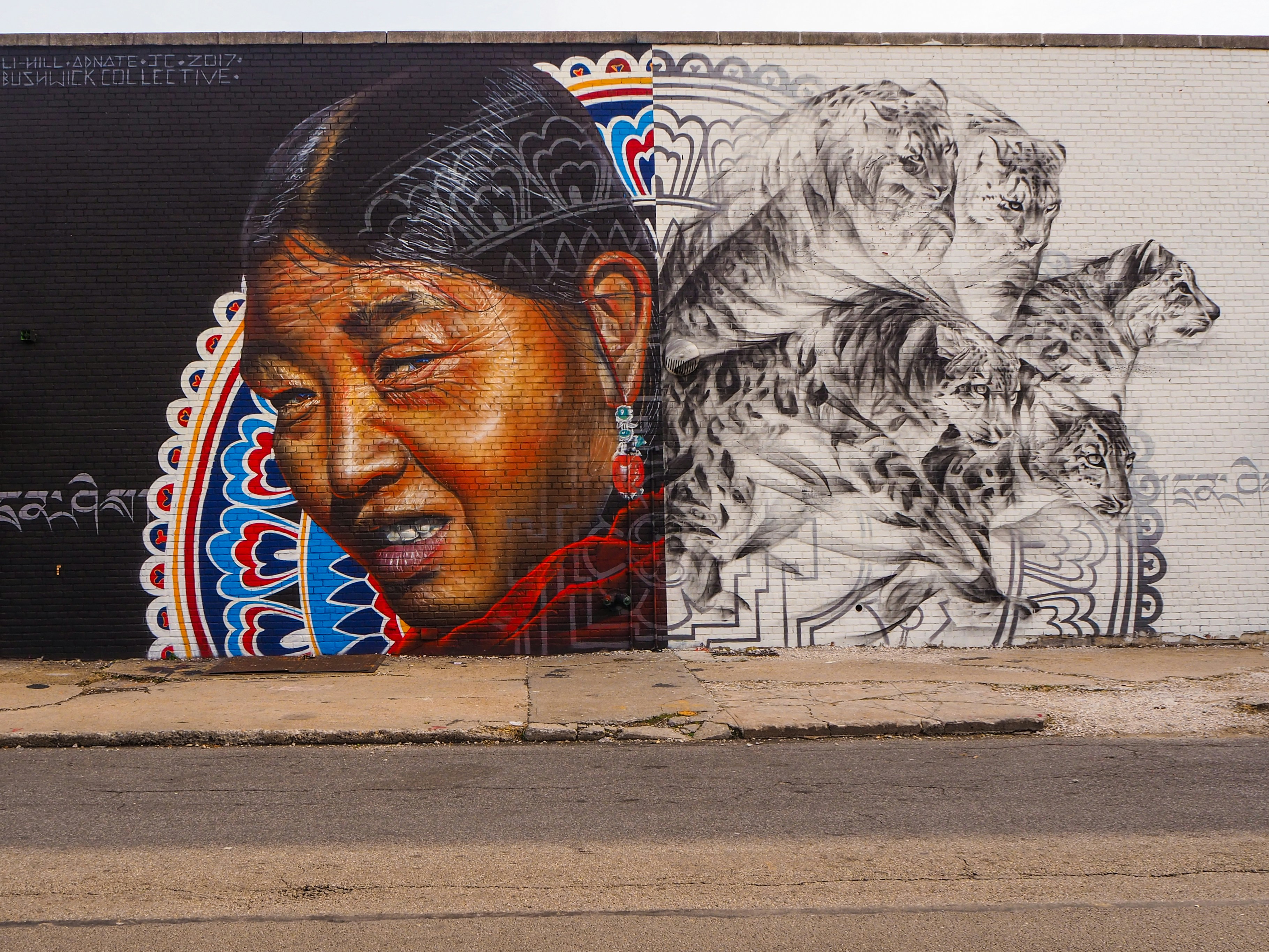 Portrait of a Migrant Eldress Adorned with Earrings Amid a Black-and-White Animal Mosaic