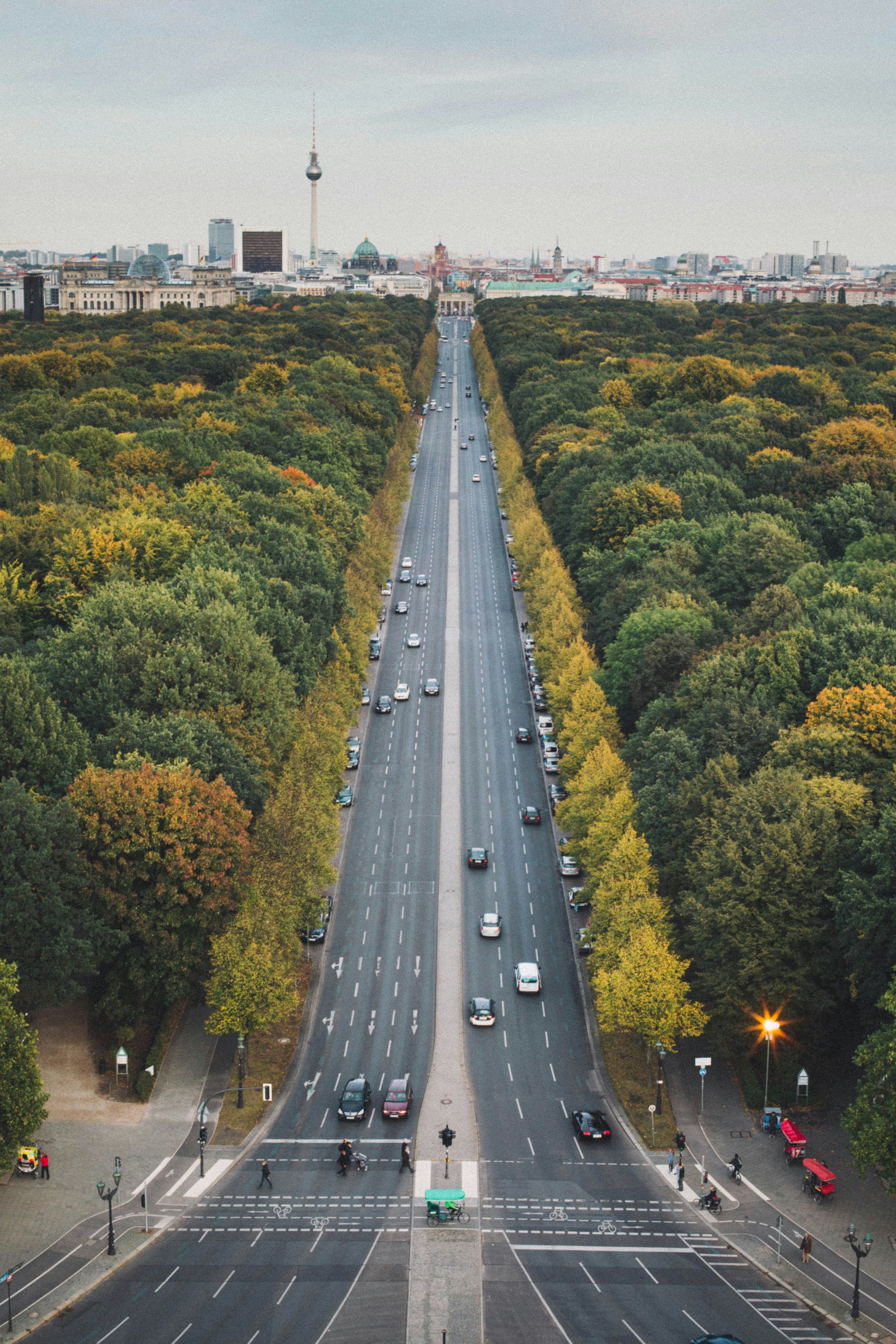 Aerial view of a tree-lined avenue in Berlin, showcasing a blend of urban architecture and nature. The scene captures the vibrancy of city life against a backdrop of lush greenery.