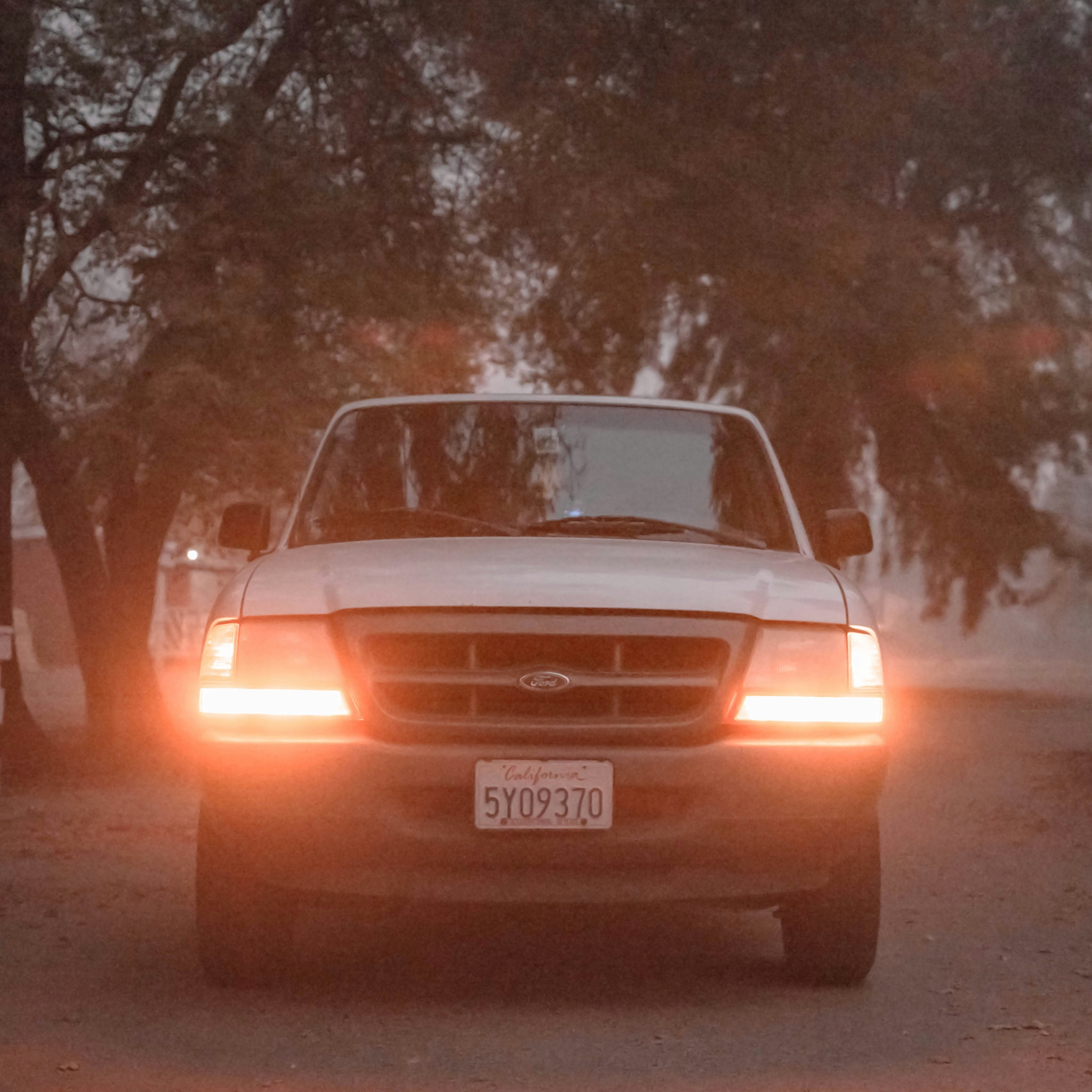 A white Ford truck with headlights on, driving down a foggy road surrounded by trees. The atmosphere is hazy, enhancing the vehicle's glow.