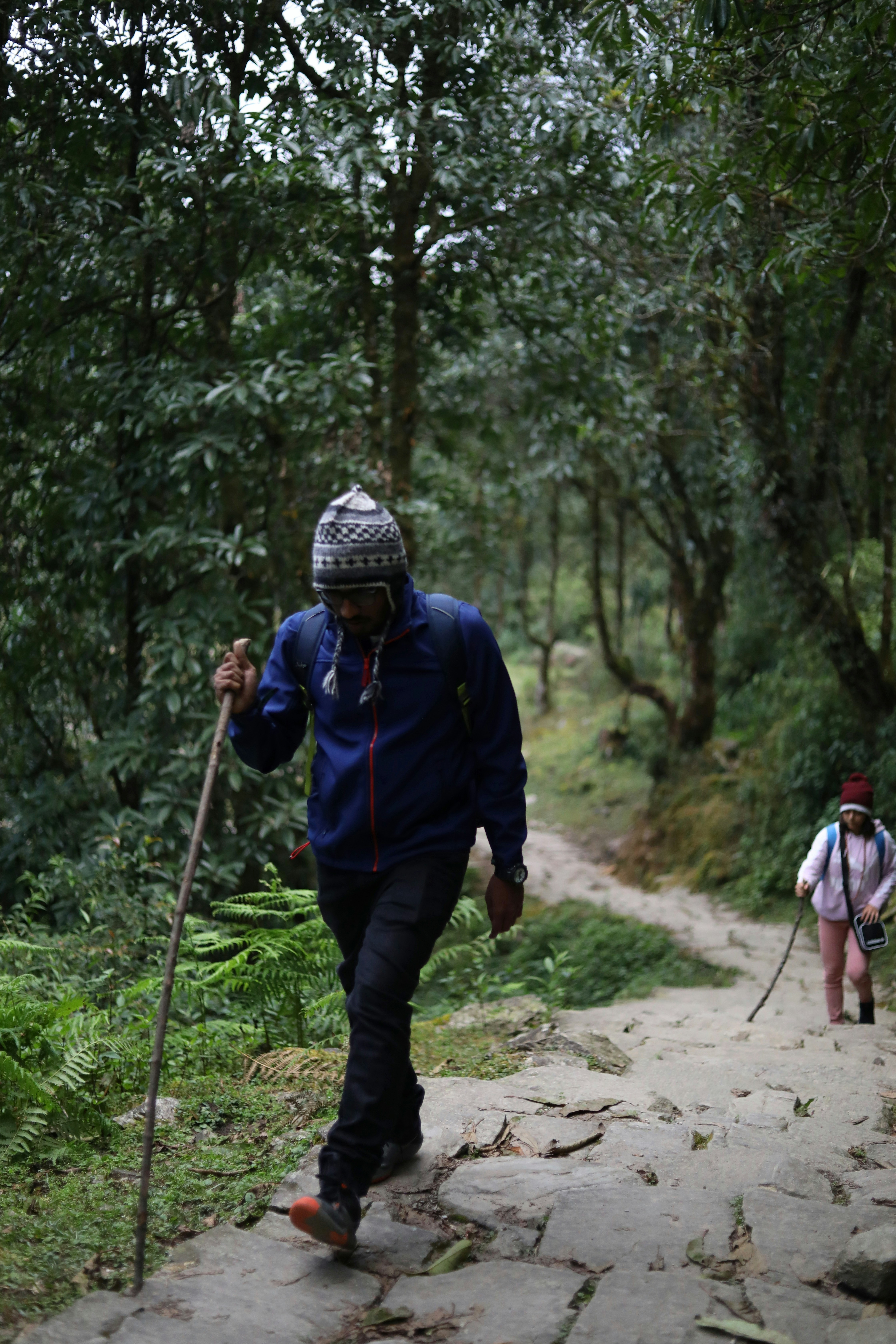 Hiker navigating a rocky path surrounded by lush greenery, showcasing the beauty of nature's trails. A companion follows closely behind.
