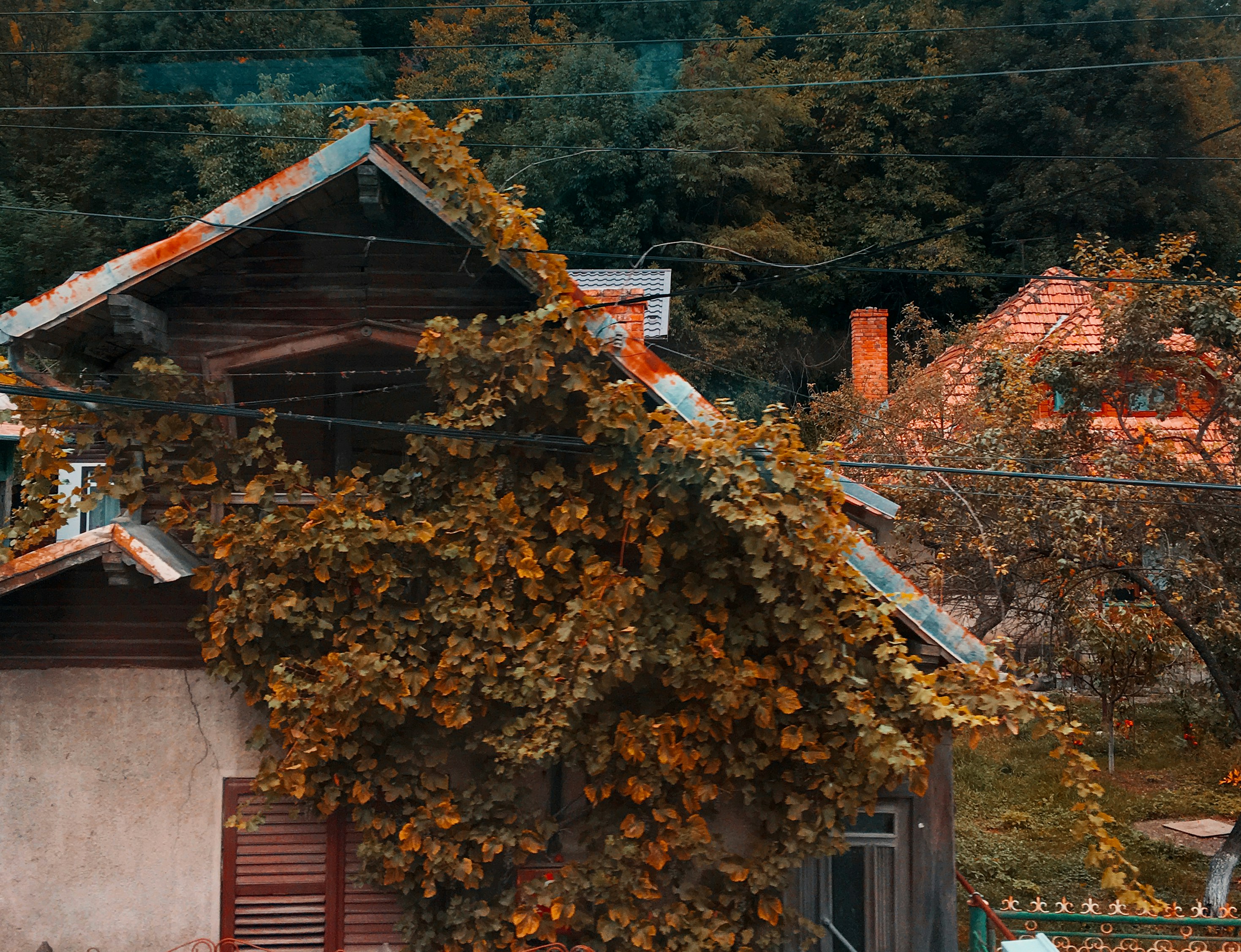 Autumn Embrace on Rustic Rooftops