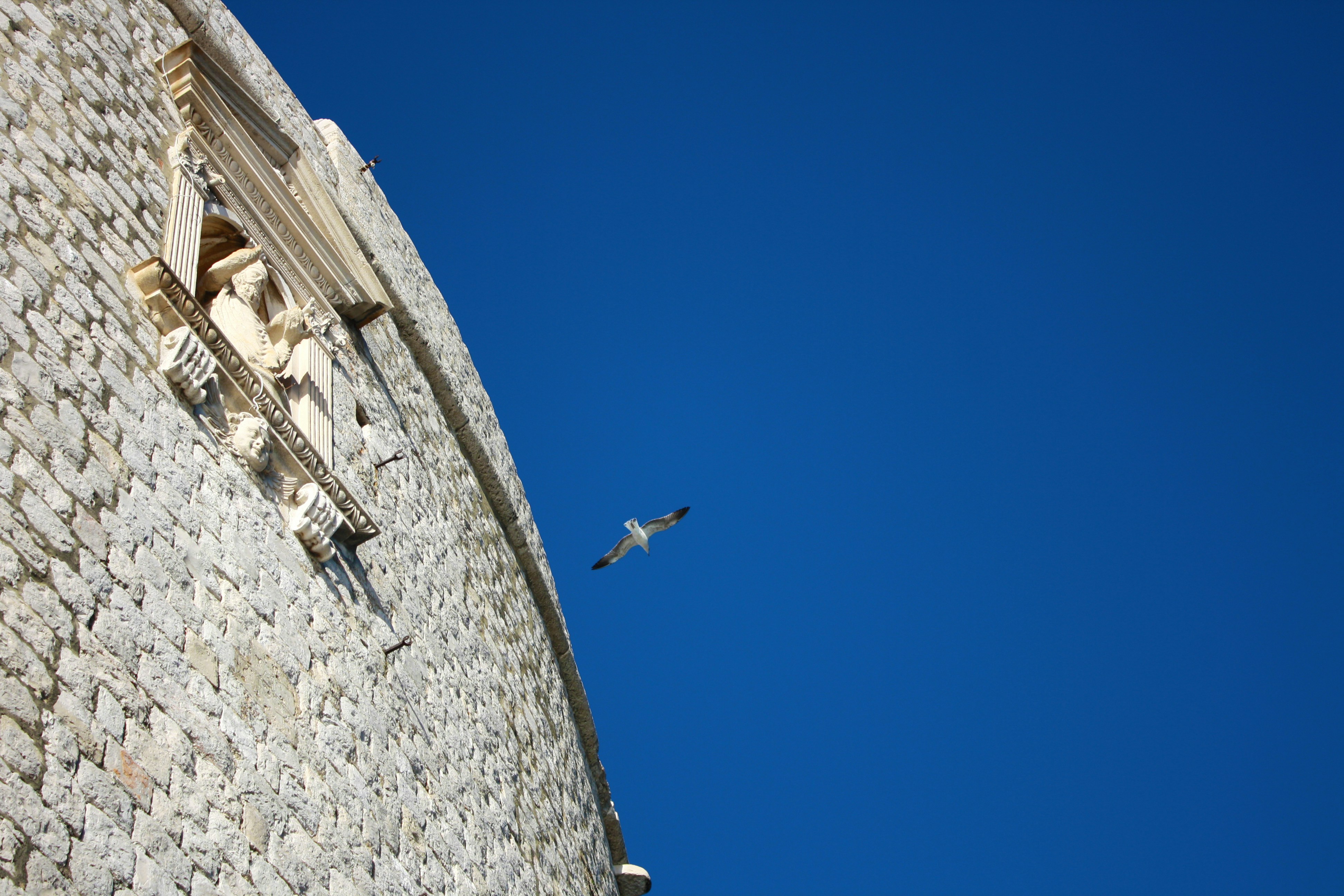 Seagull soaring past a historic stone wall against a vibrant blue sky.