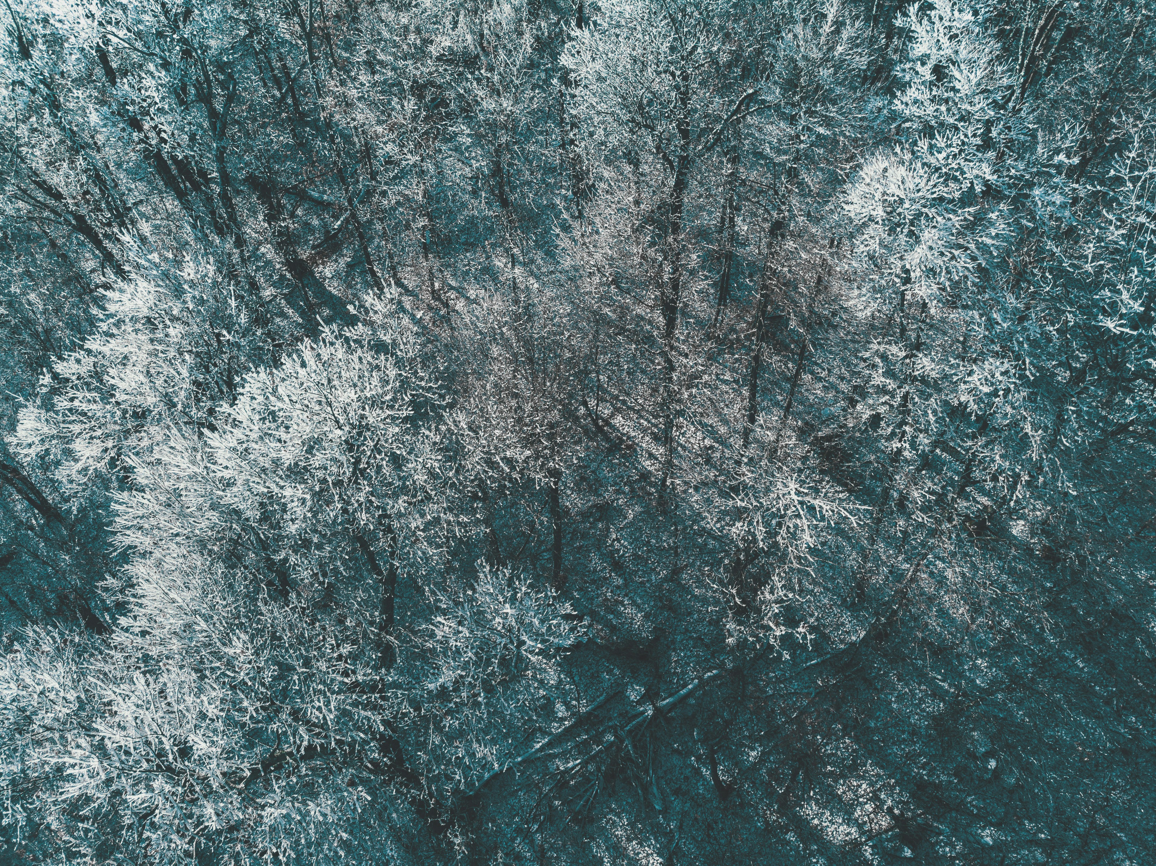 Ozark Drones (@ozarkdrones) | Communauté photos Unsplash