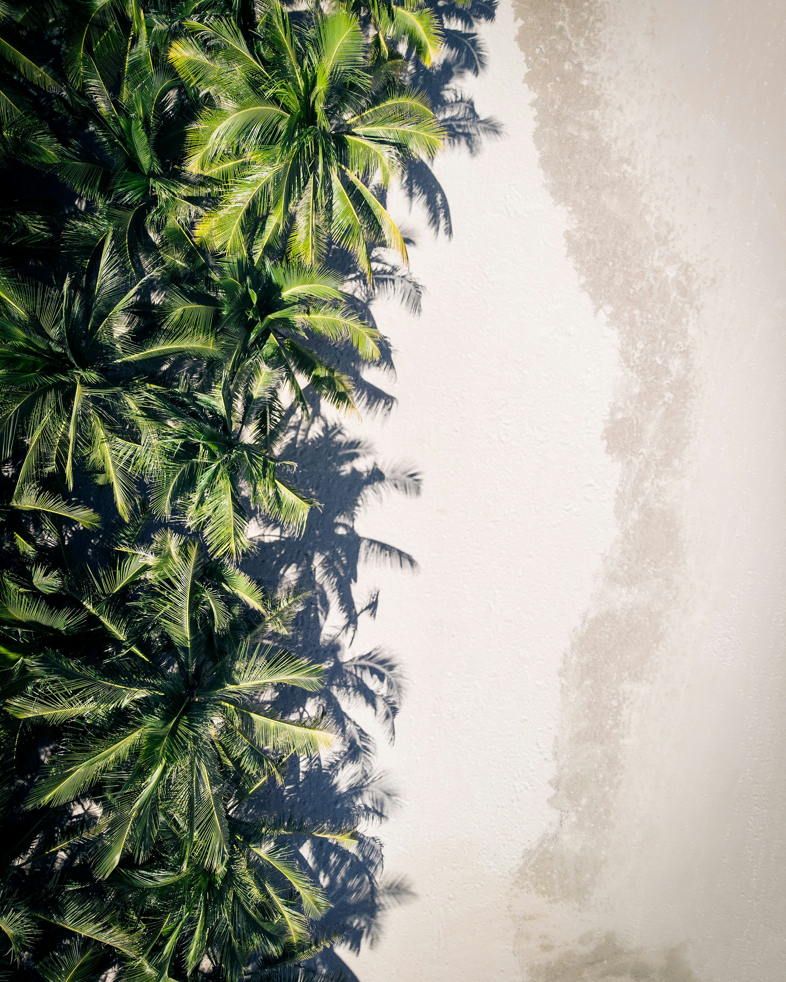 Best Summer Pictures [HD] | Download Free Images on Unsplash