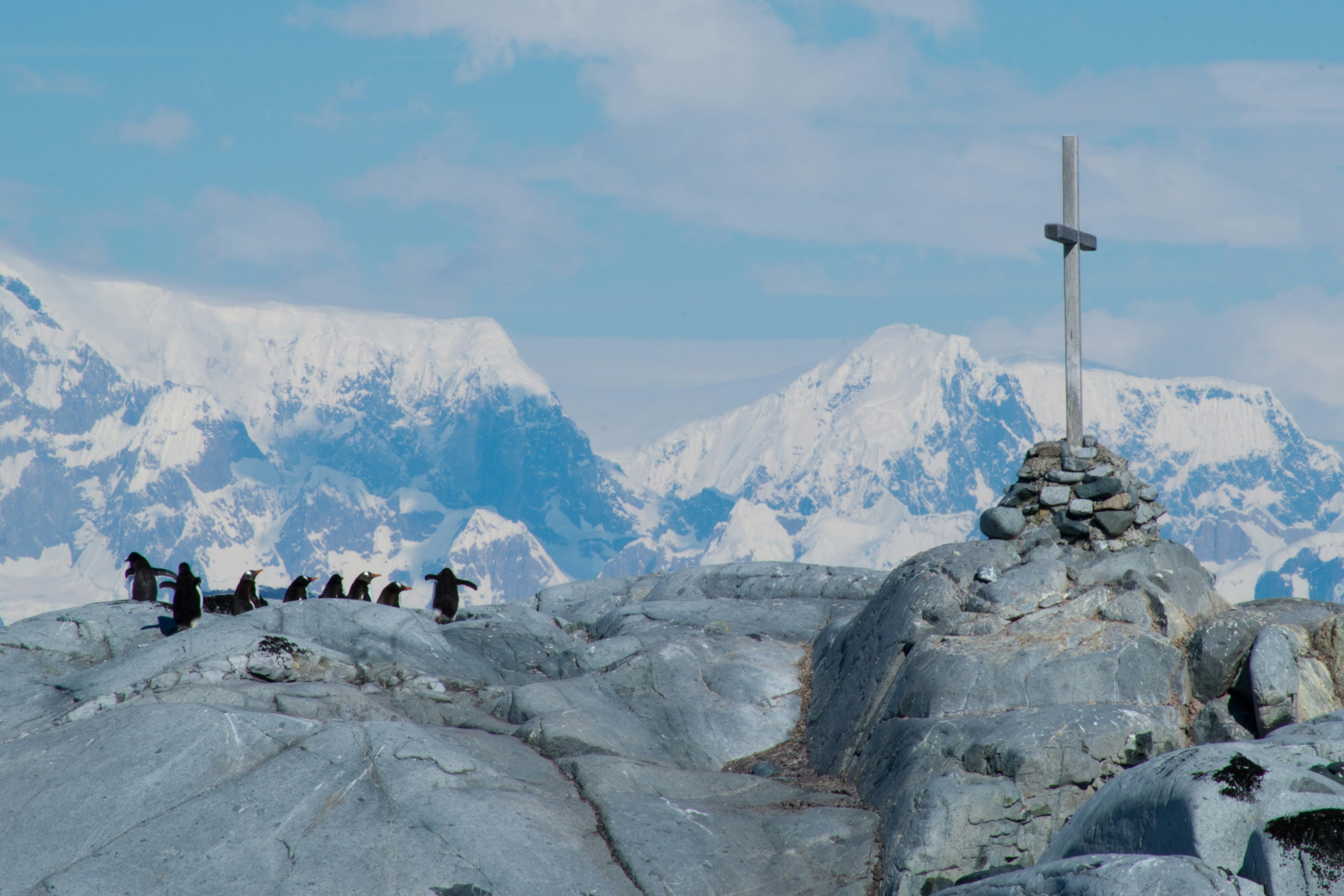 Group of penguins gathered on rocky terrain with a stone cross in the background, set against a backdrop of snow-capped mountains.