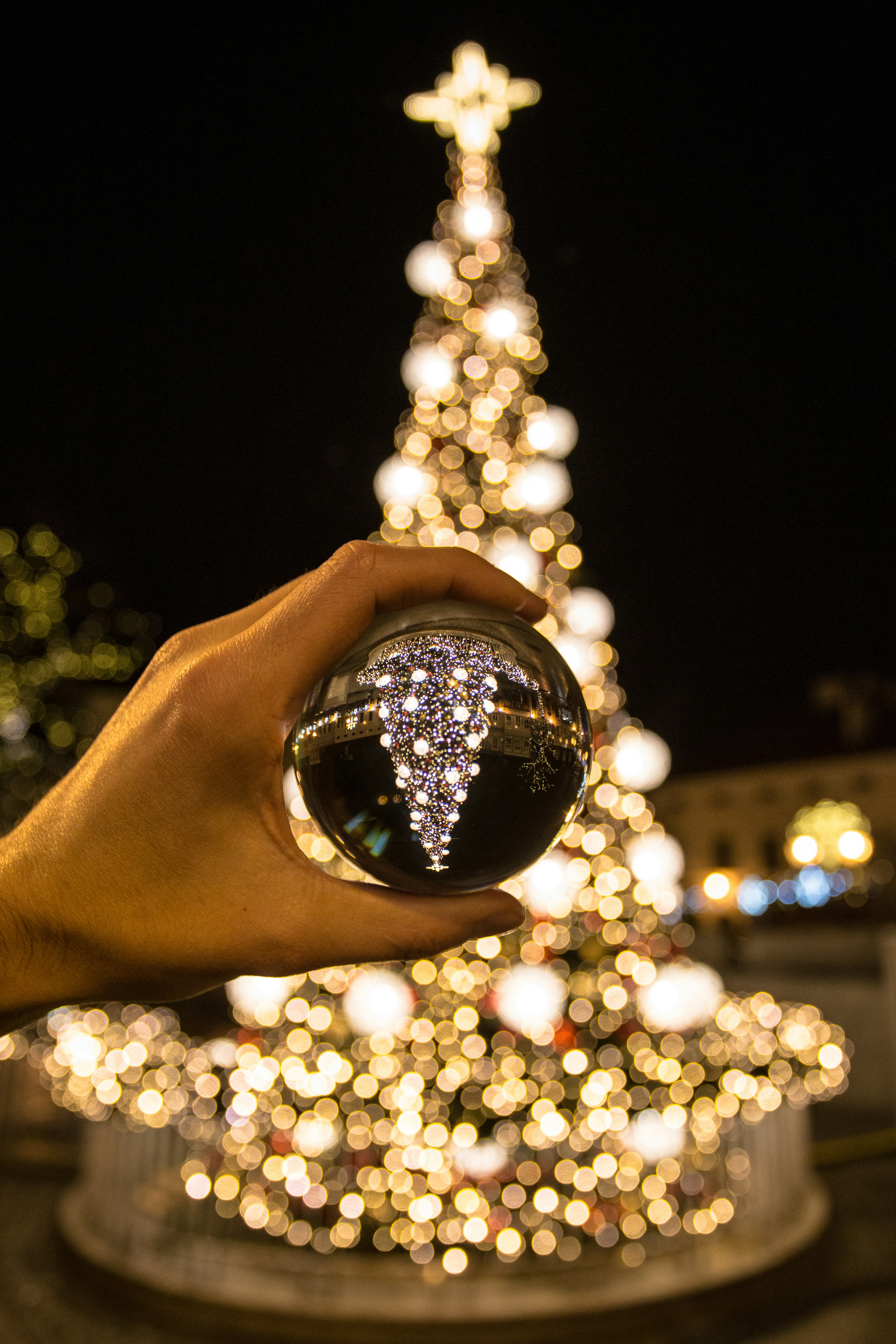 Orb of Light: Inverted Christmas Tree Reflected in a Glass Sphere