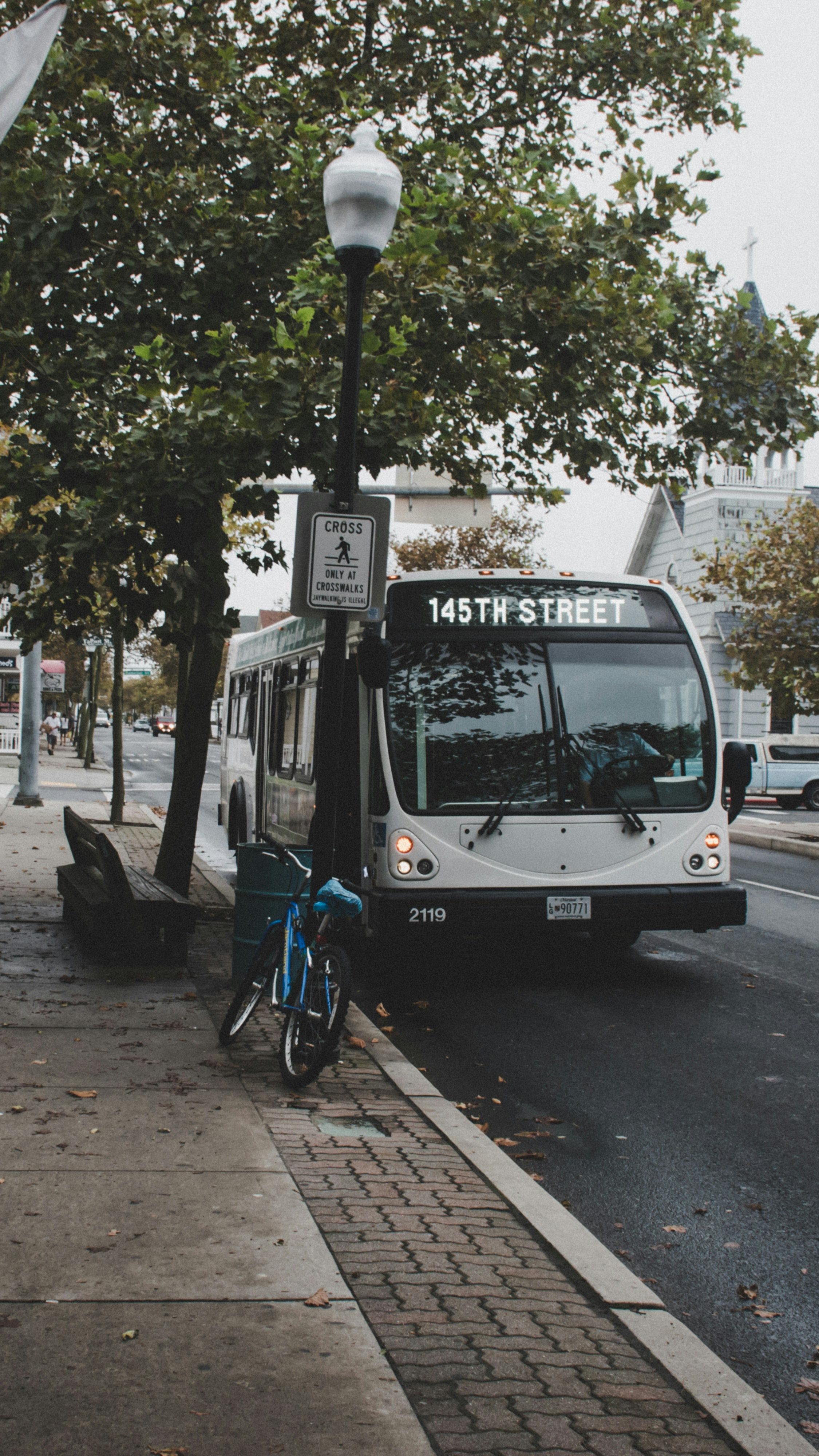 City Bus Stop: Blue Bicycle Leaning by a Lamp Under a Leafy Canopy