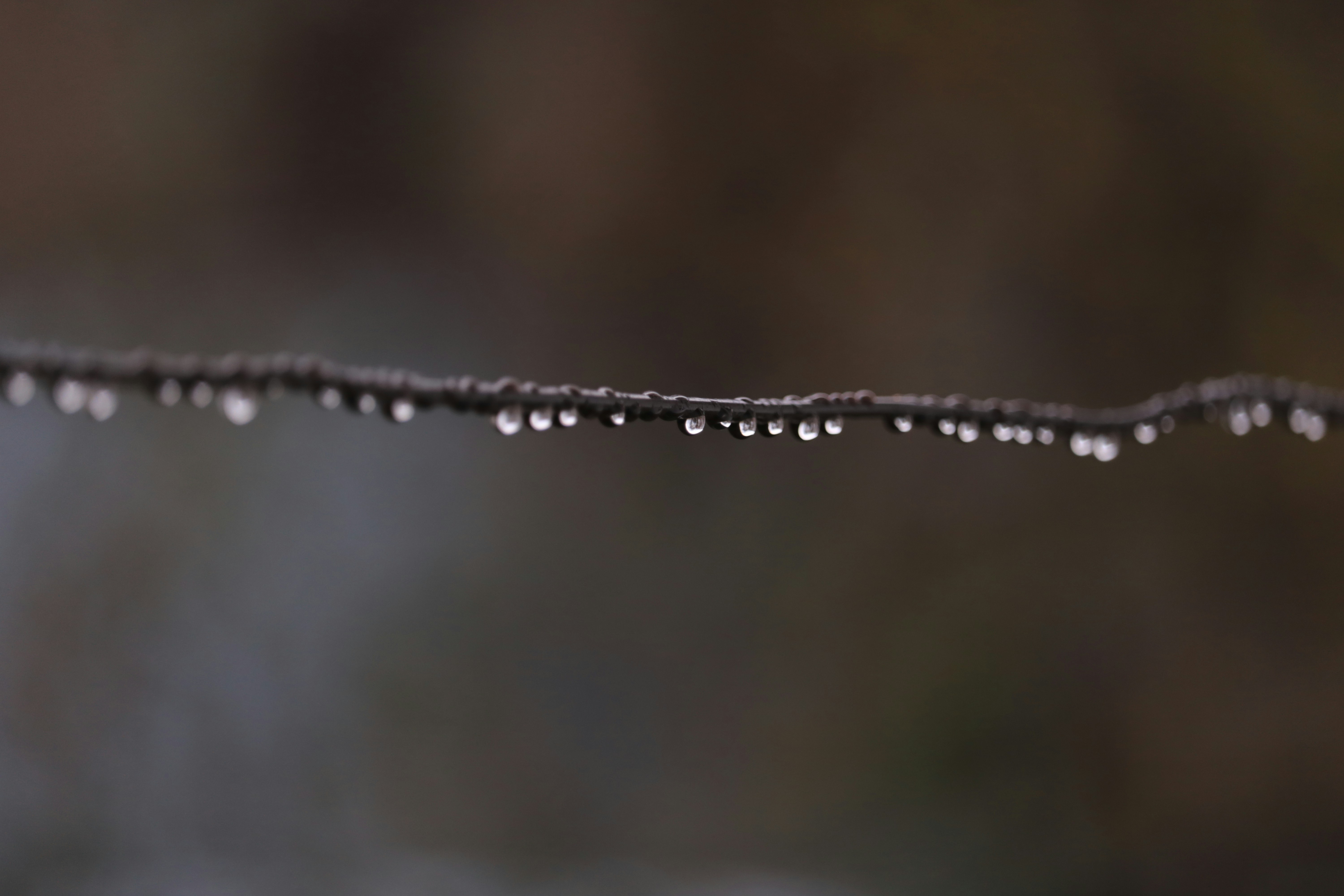 A close-up view of a thin wire adorned with glistening raindrops, showcasing the beauty of nature's small details.