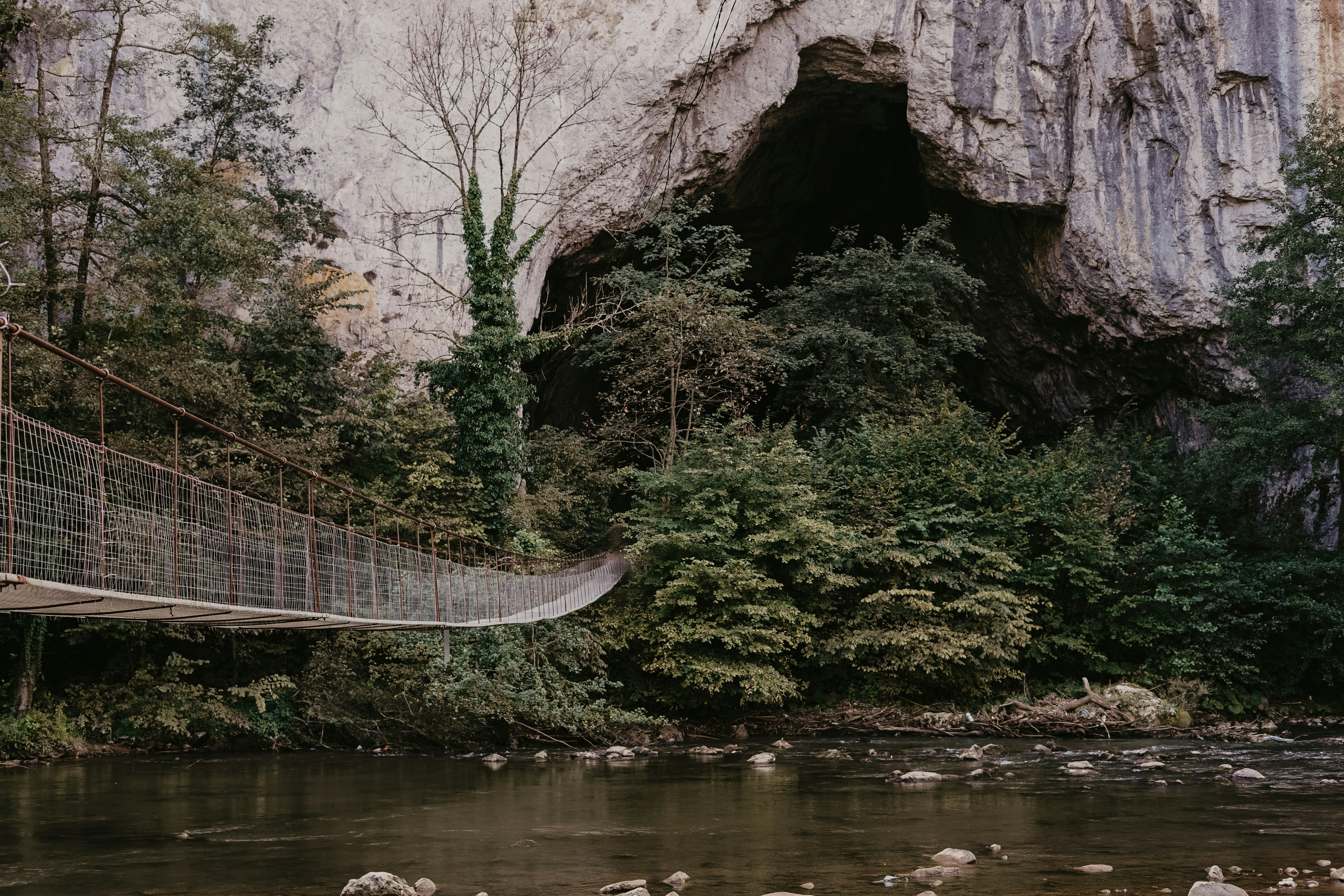 Bridge heading cave covered with plants photo – Free Grey Image on Unsplash