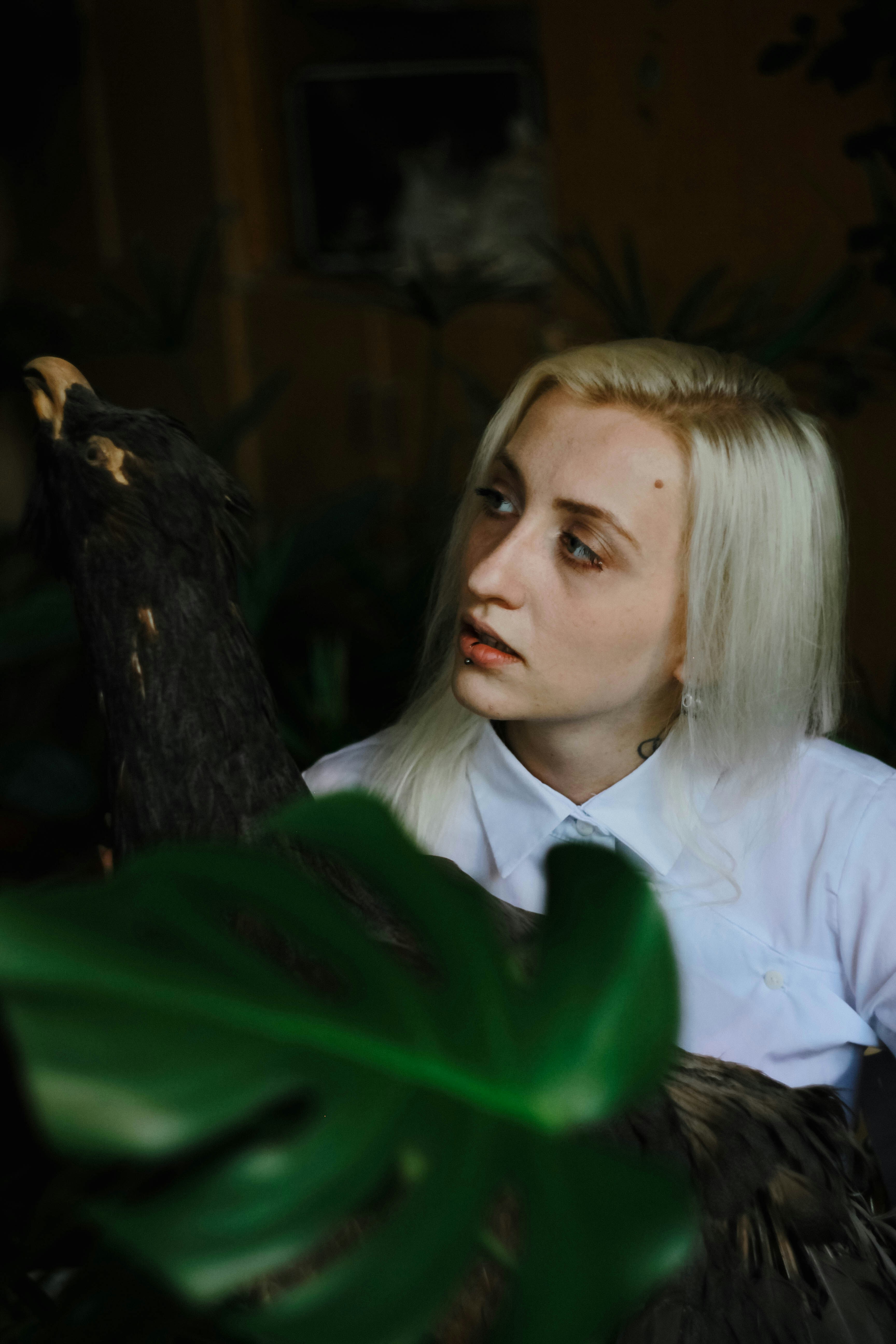 Portrait in Dappled Light: A Quiet Exchange with a Bird