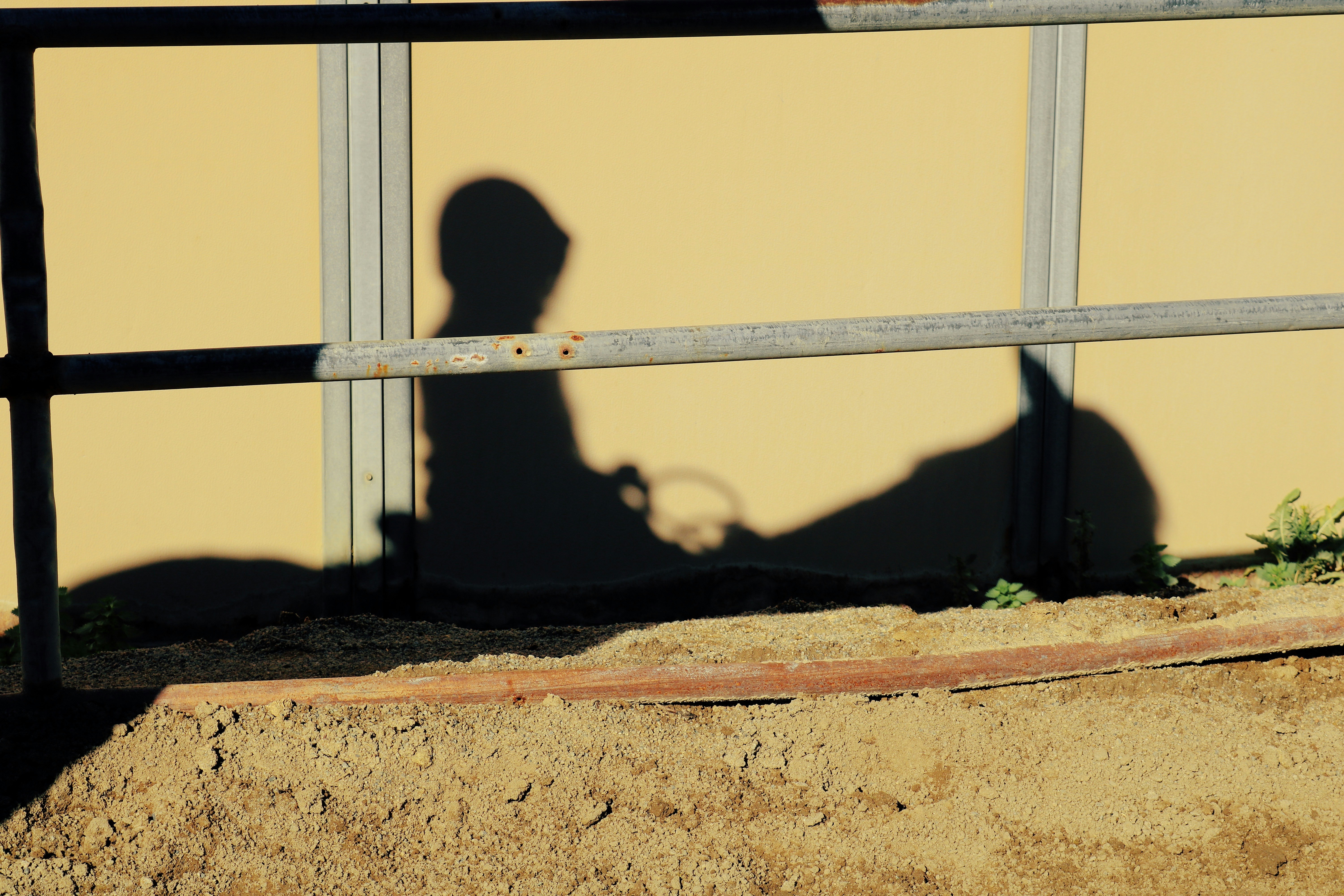 Silhouette of a rider on horseback, framed by a rustic fence against a sunlit backdrop.