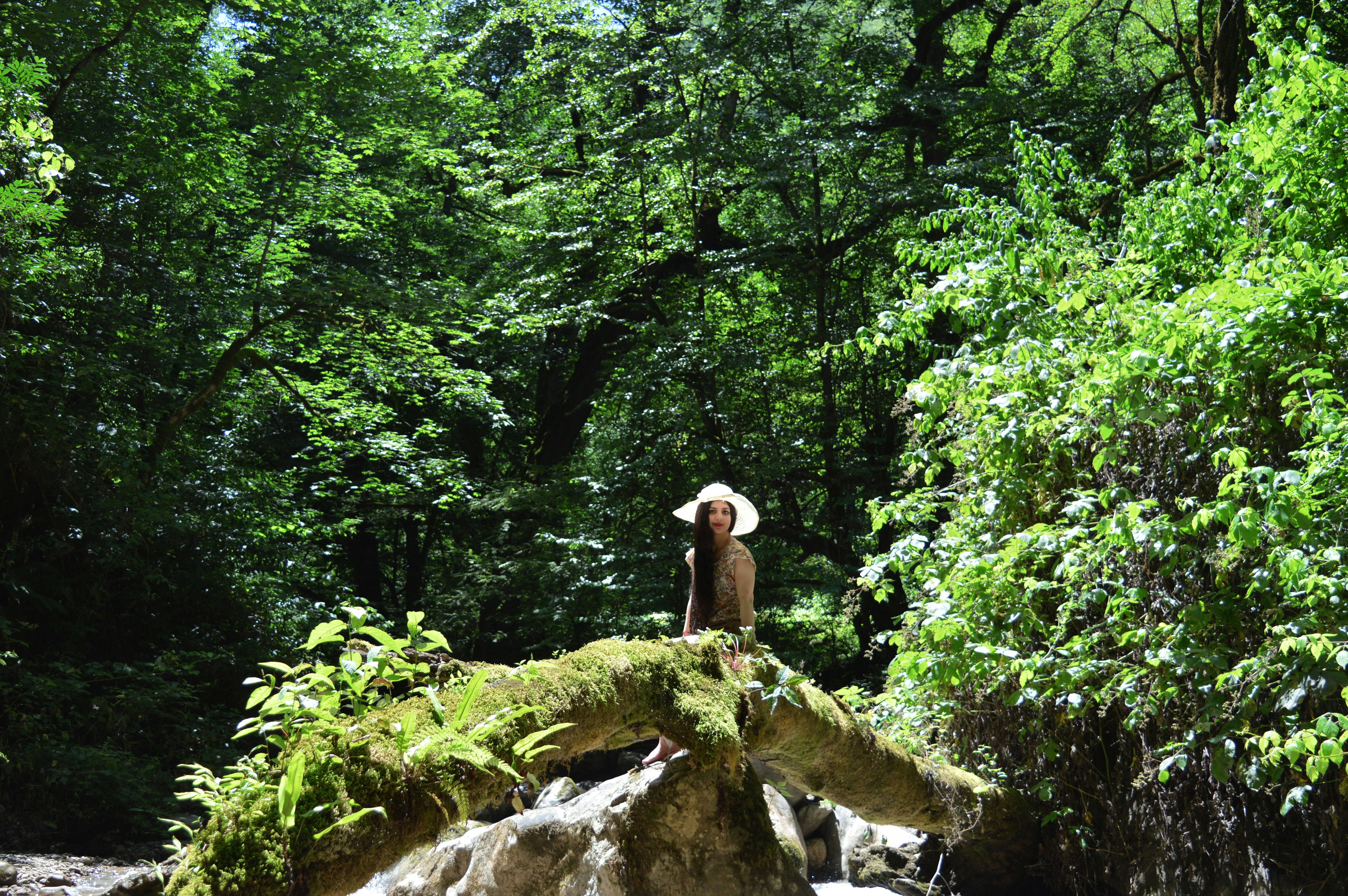 Woman sitting surrounded by trees photo – Free Iranian Image on Unsplash