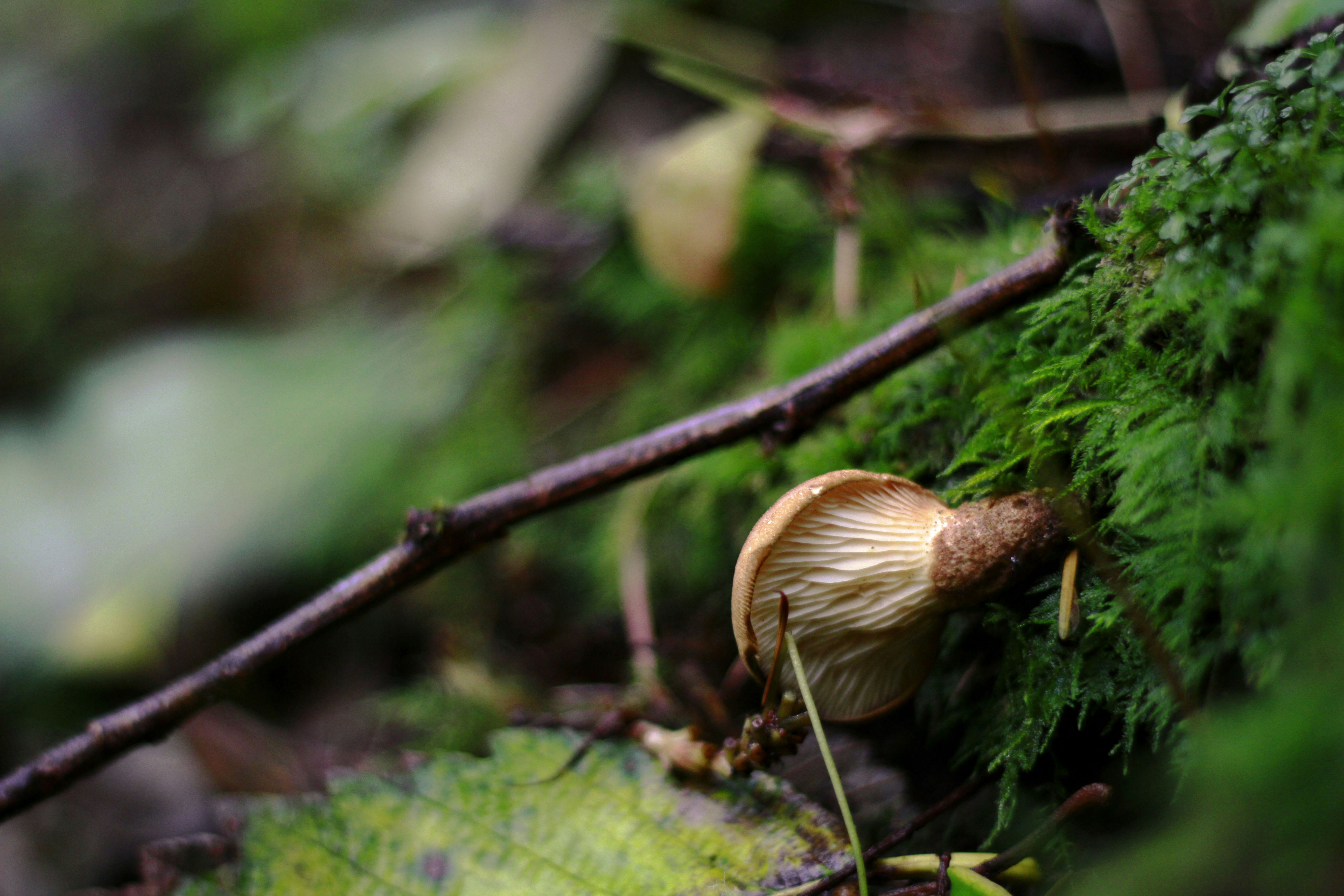 Photo by 2 Bro’s Media with Canon EOS 7D