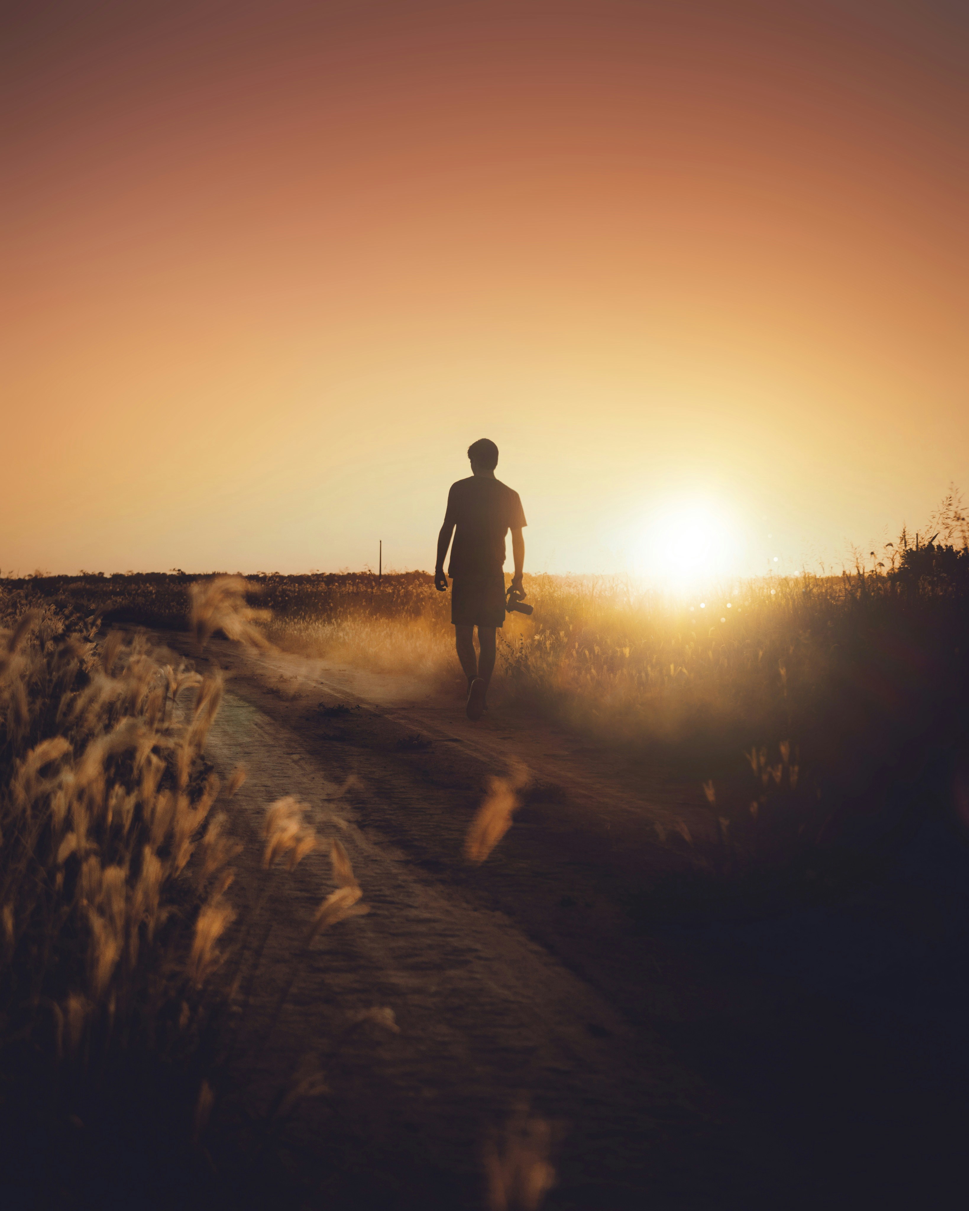 Silhouetted figure walking along a dusty path at sunset, surrounded by tall grasses. The sun casts a warm glow, creating a serene atmosphere.
