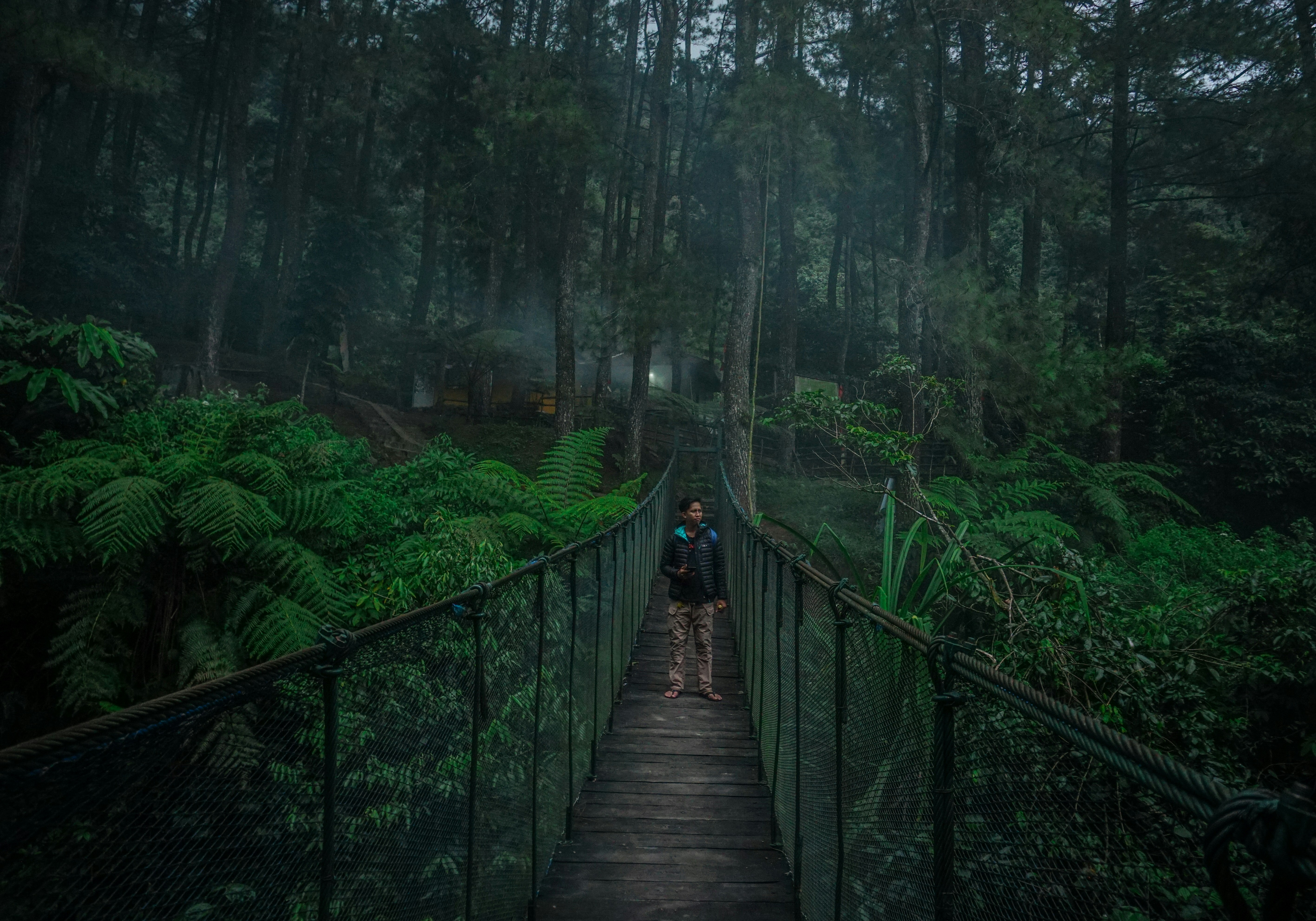 Person walking on a narrow bridge surrounded by lush, dense forest with a misty atmosphere.