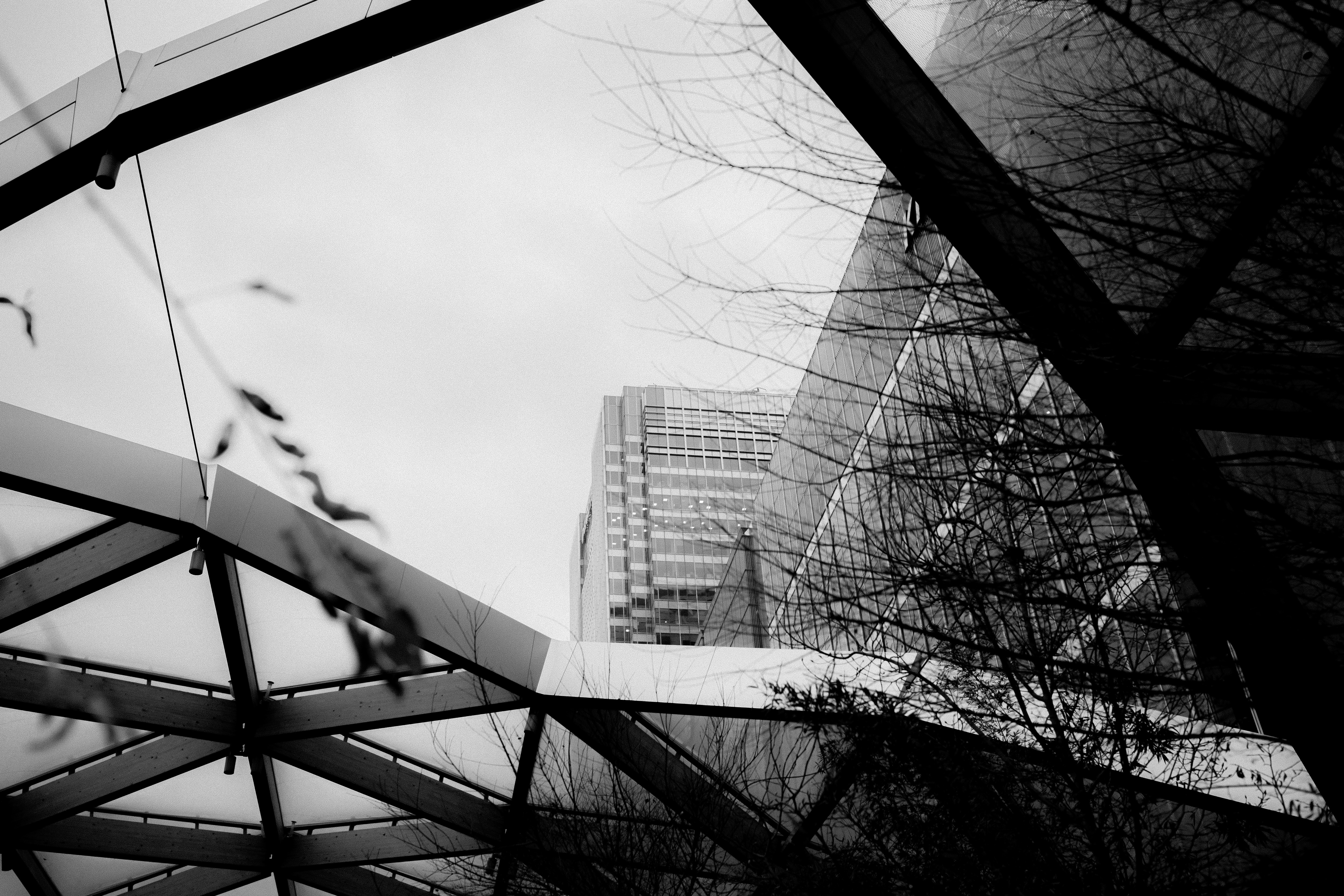 Gray metal frames in low-angle view photo – Free Grey Image on Unsplash