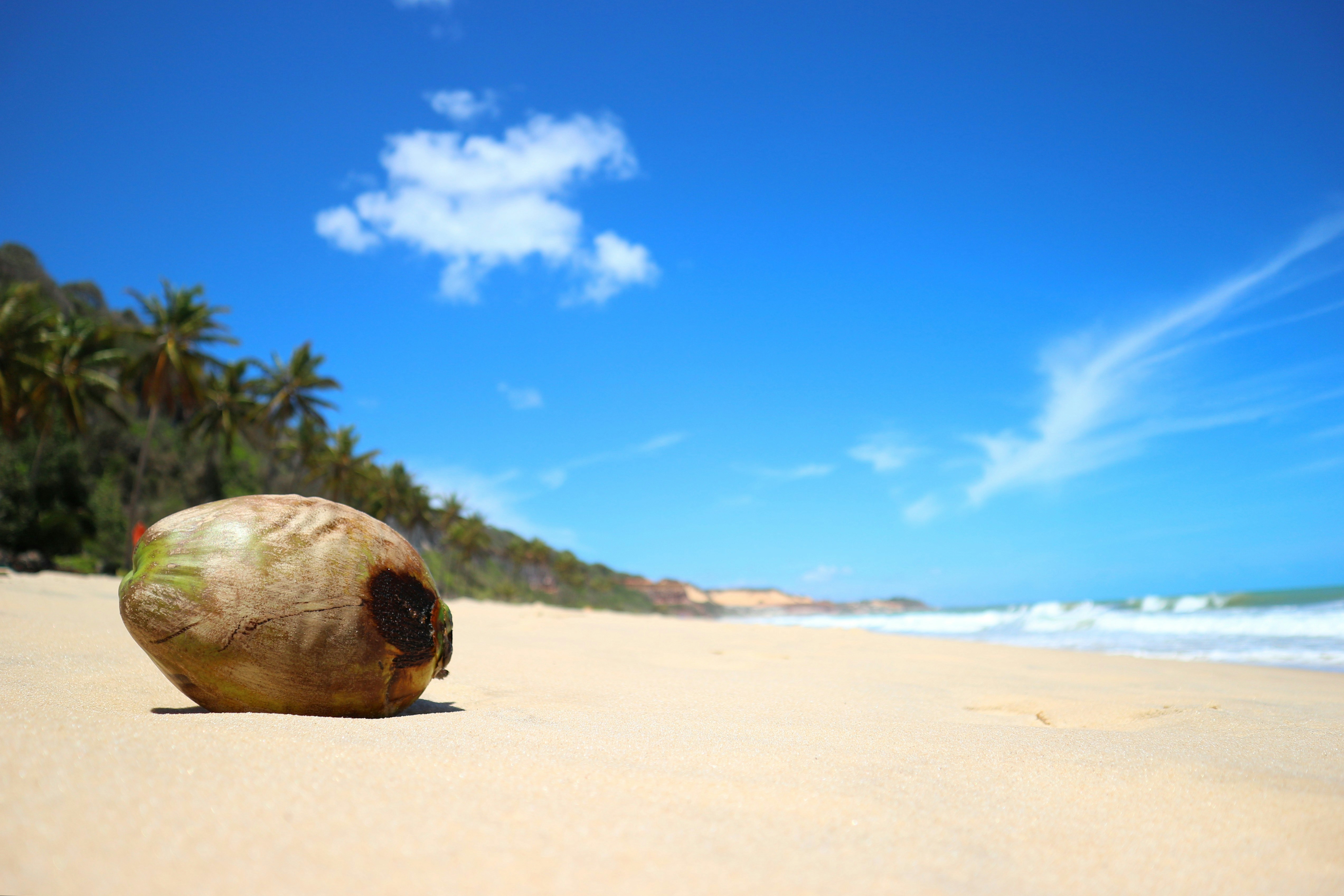 Lone Coconut on Sun-Warmed Sand Under a Bright Tropical Sky