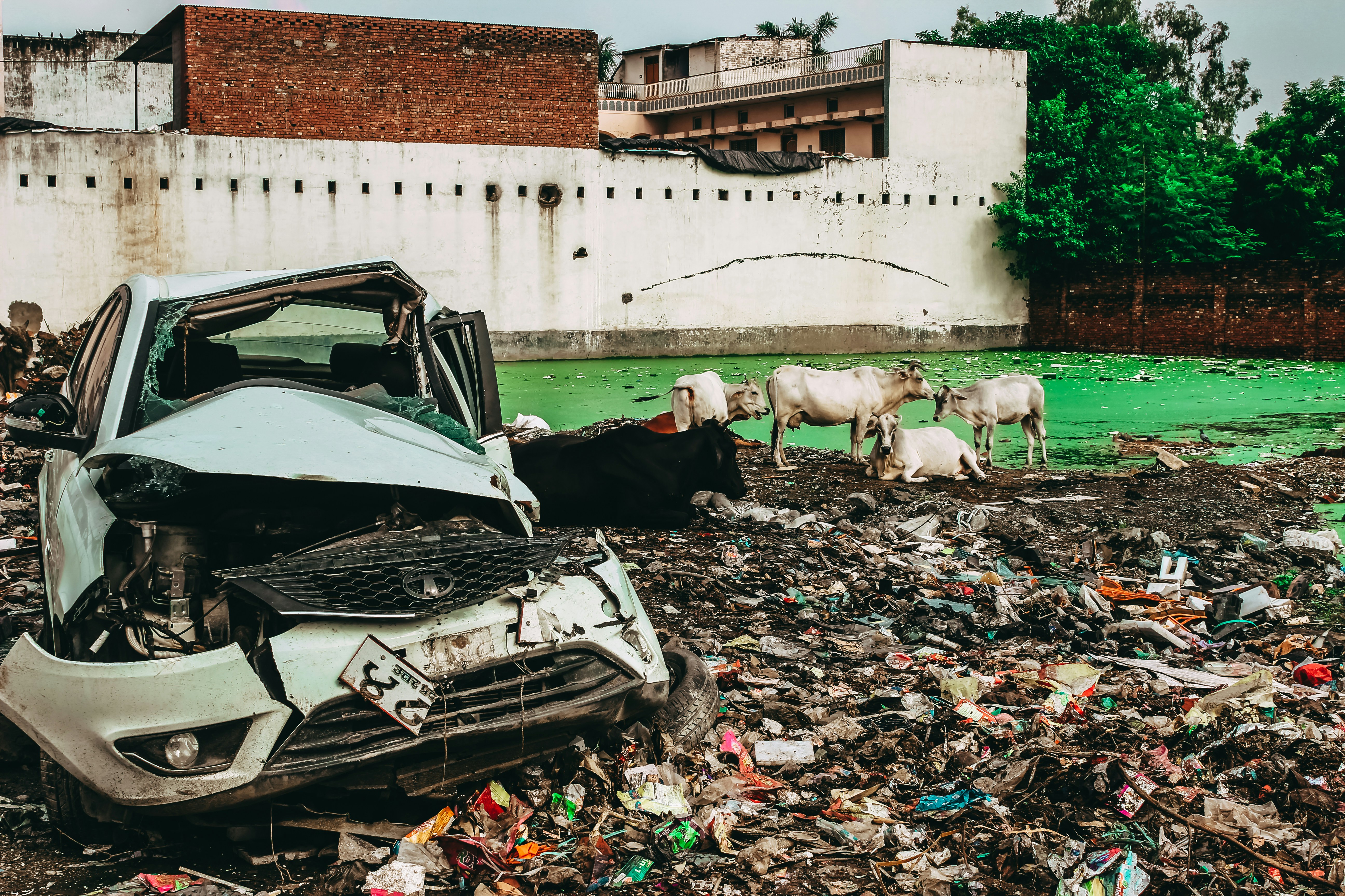 Plastic takes 500 years to decompose poster on black surface photo ...