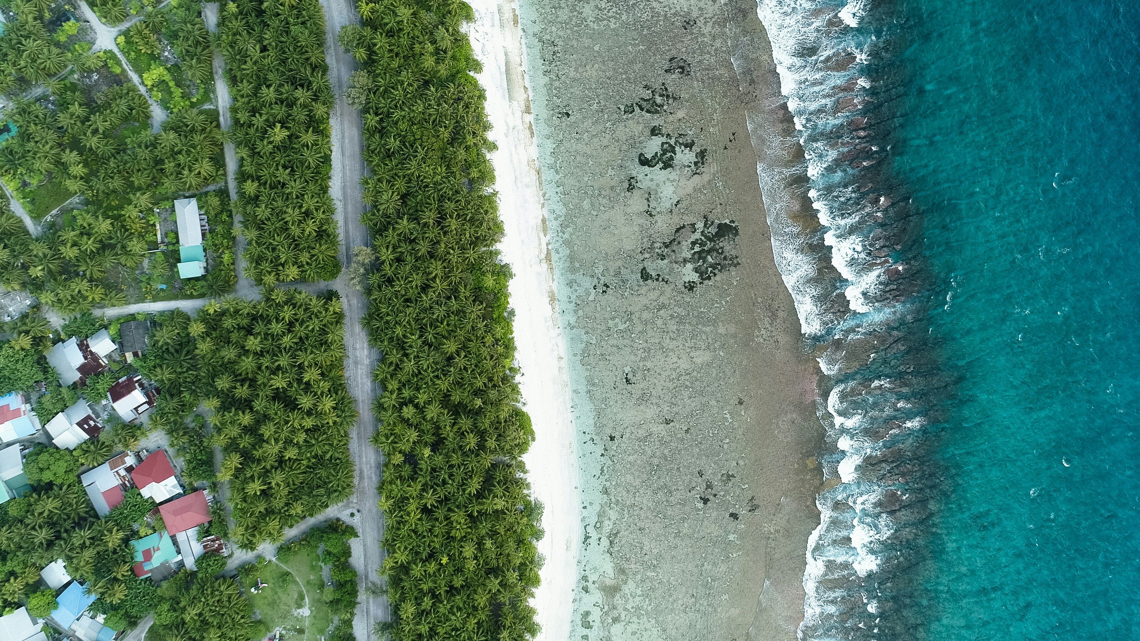 Tropical Patchwork: Verdant Fringe Meets Turquoise Shore