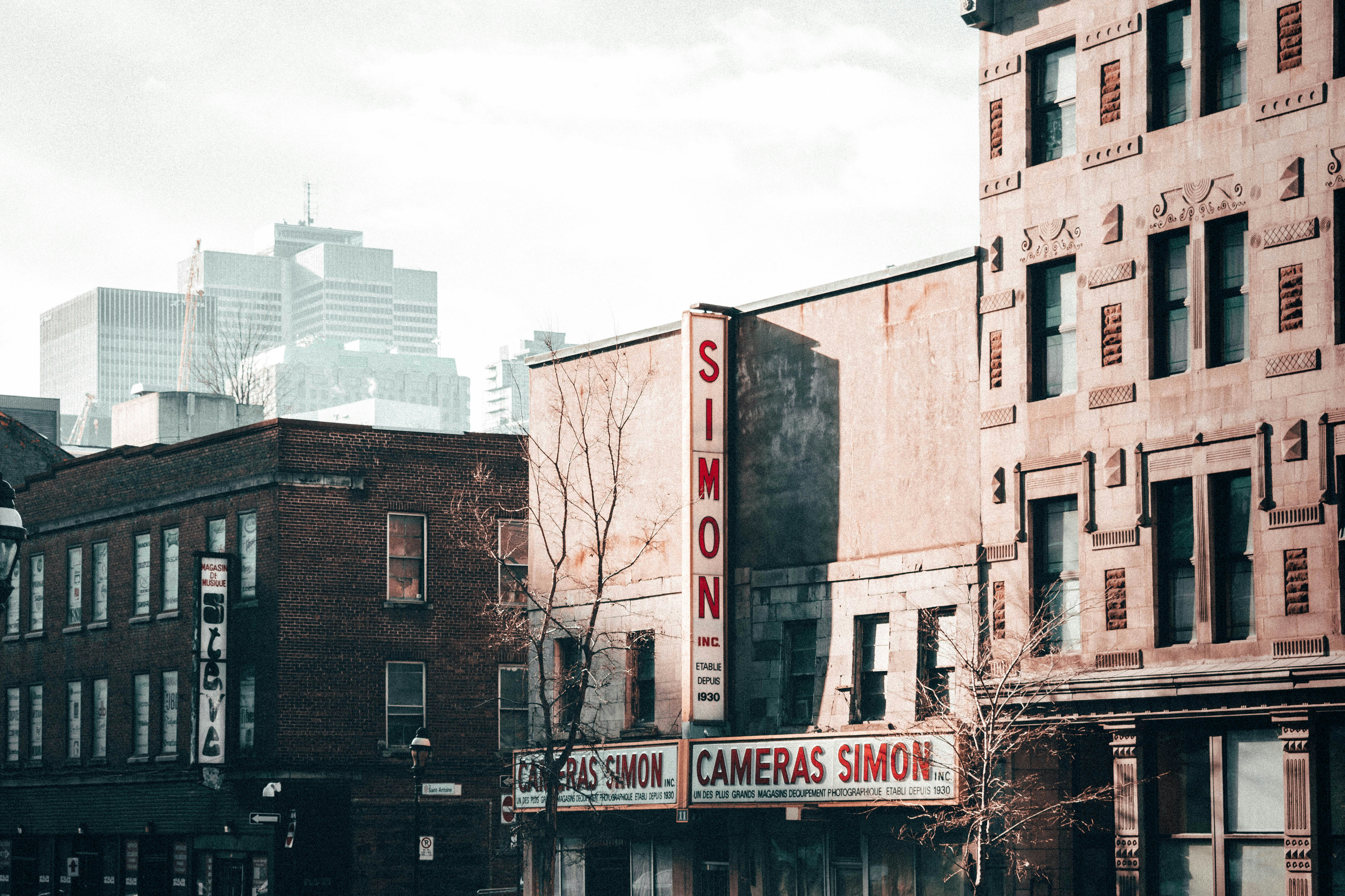 Sample photo from Nikon D3500