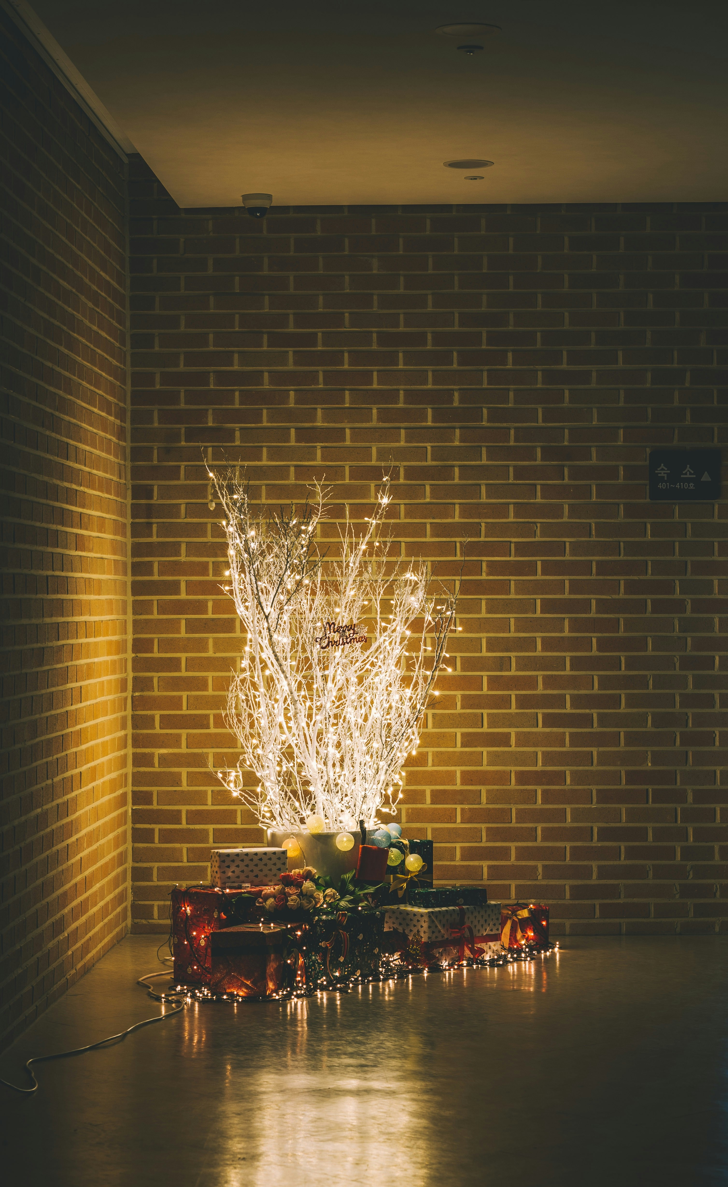 Brick-Walled Glow: Gifts Beneath a Branch-Lit Arbor
