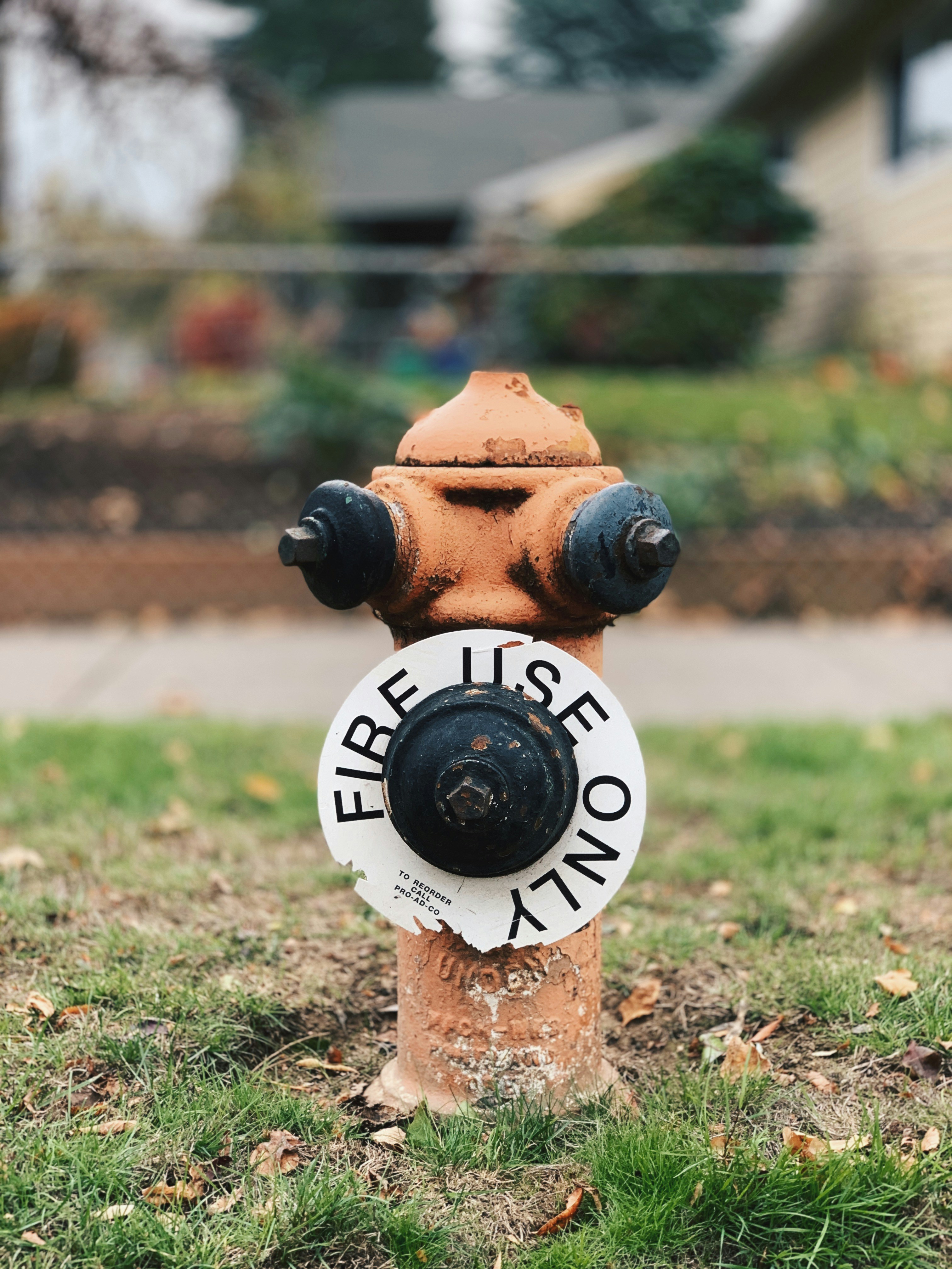 Centerfold Hydrant: Rust, Red, and Quiet Suburban Street