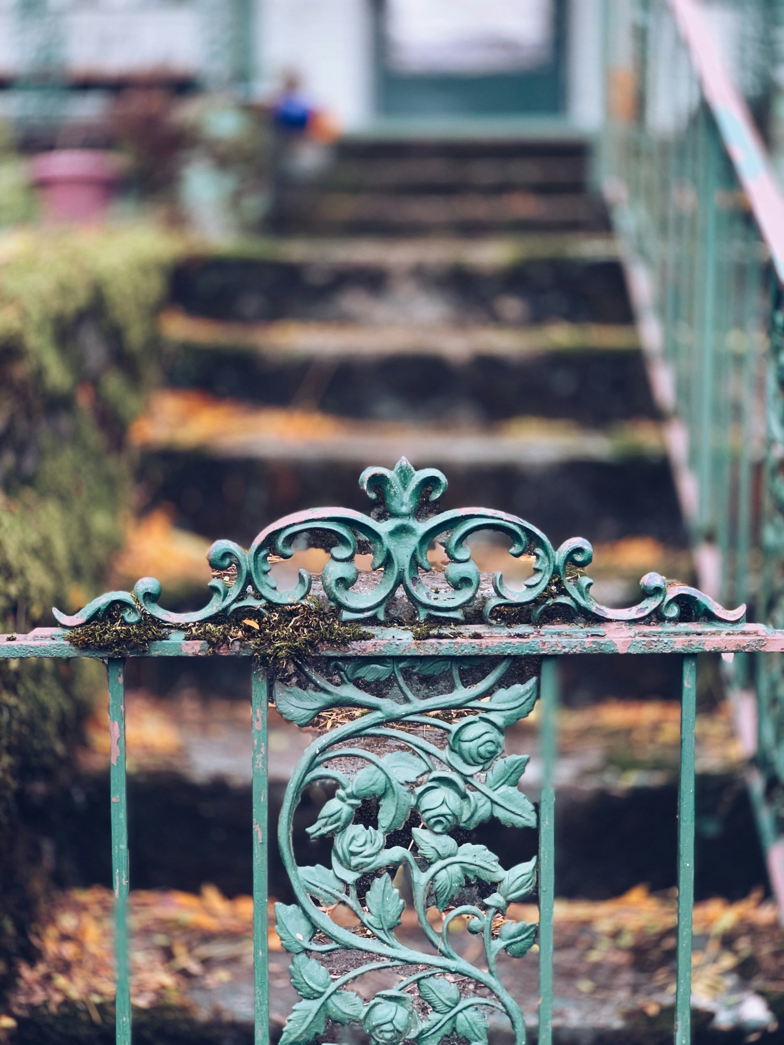 Définition de se décliner | Dictionnaire français