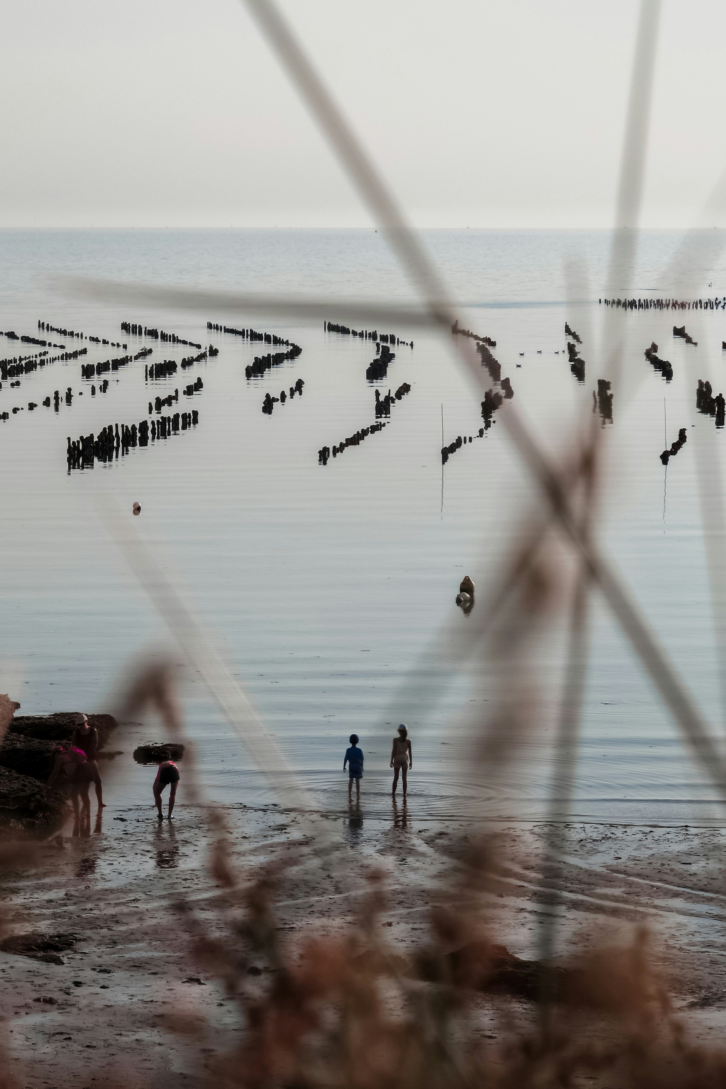 Children exploring a tranquil shoreline, with weathered wooden posts emerging from the water in the background. The scene captures a serene moment of discovery.