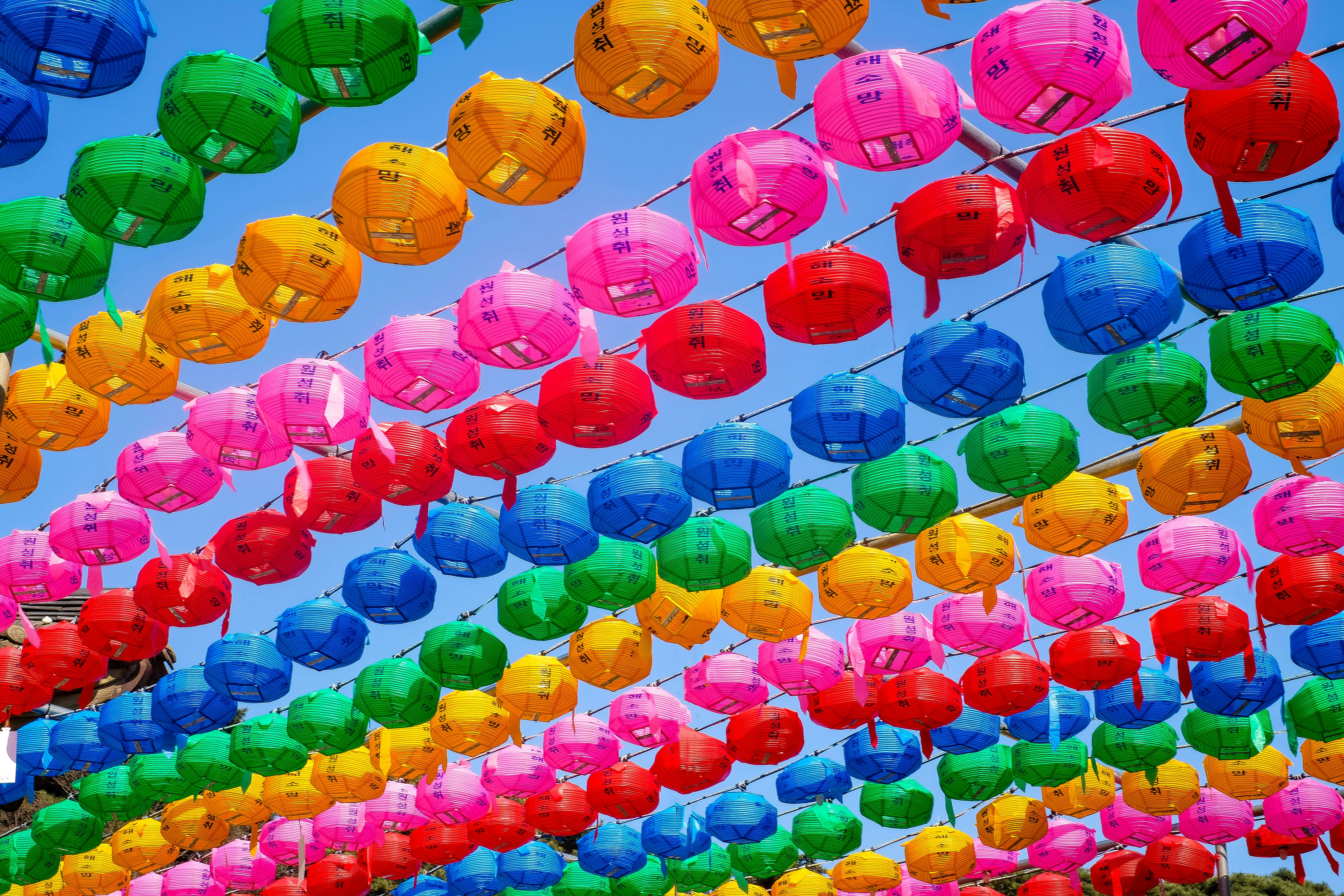 Colorful paper lanterns in vibrant hues of pink, red, green, and yellow hang against a clear blue sky, creating a festive atmosphere.