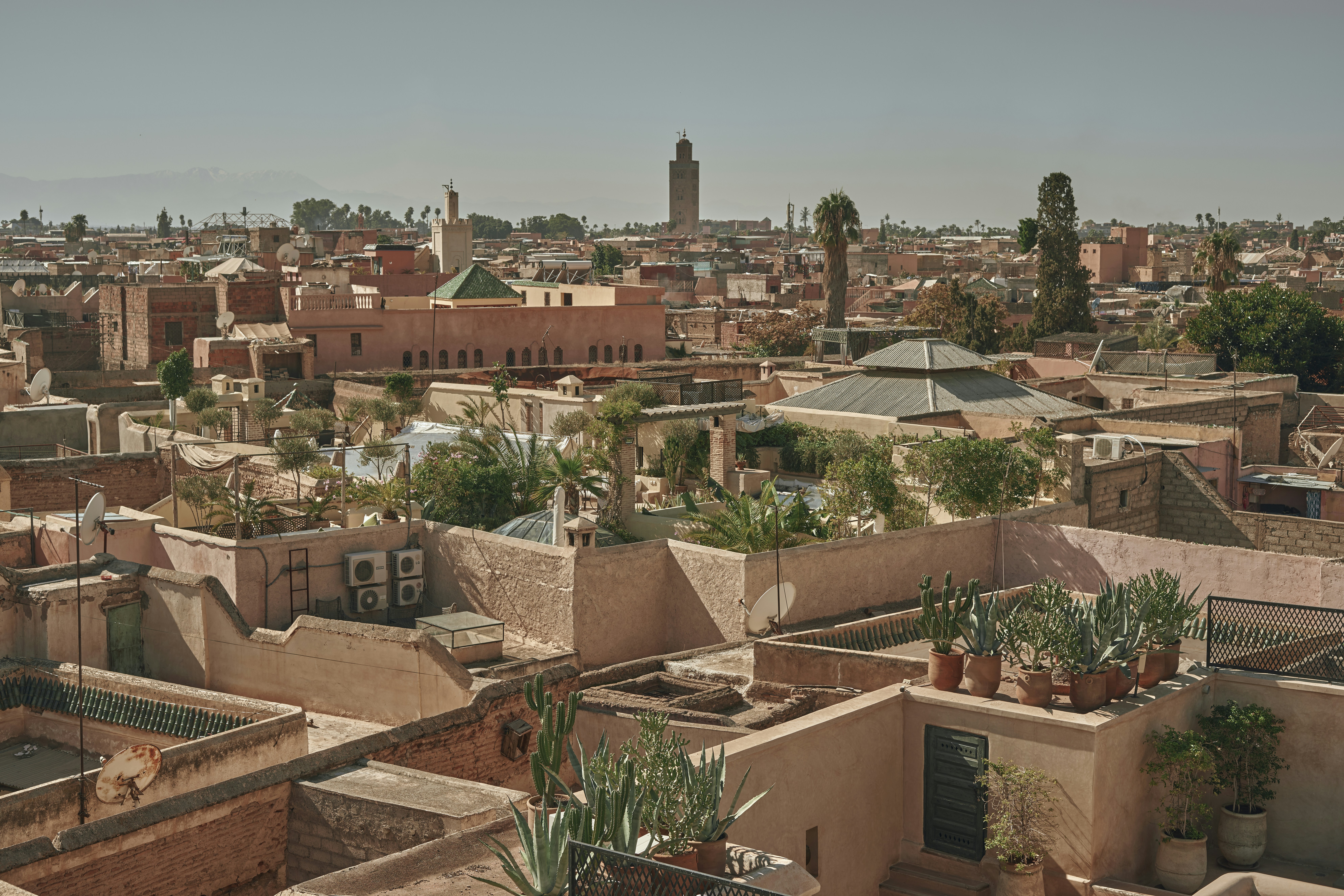 500+ Marrakech Pictures [HD] | Download Free Images on Unsplash