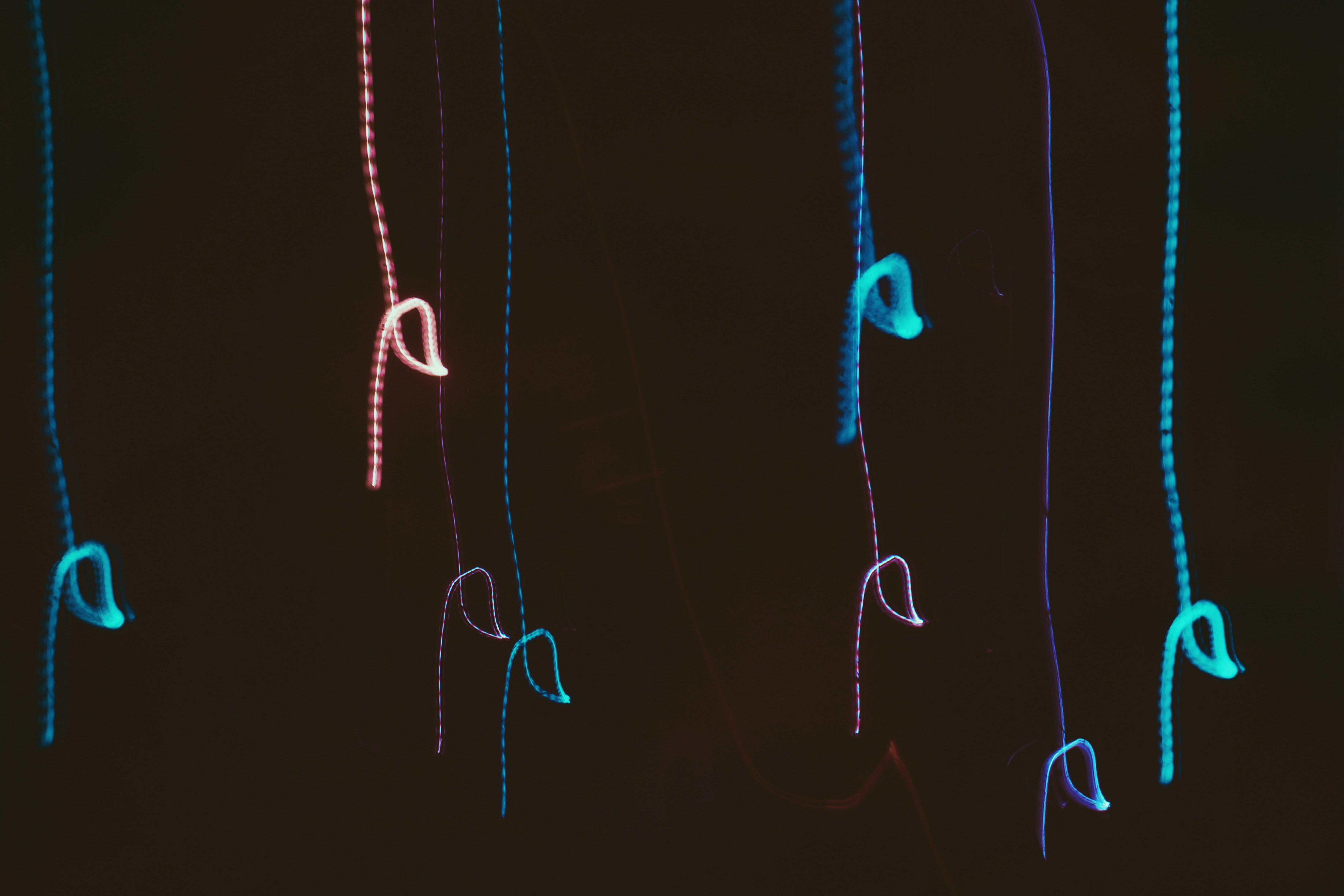 LED strings photo – Free Black Image on Unsplash