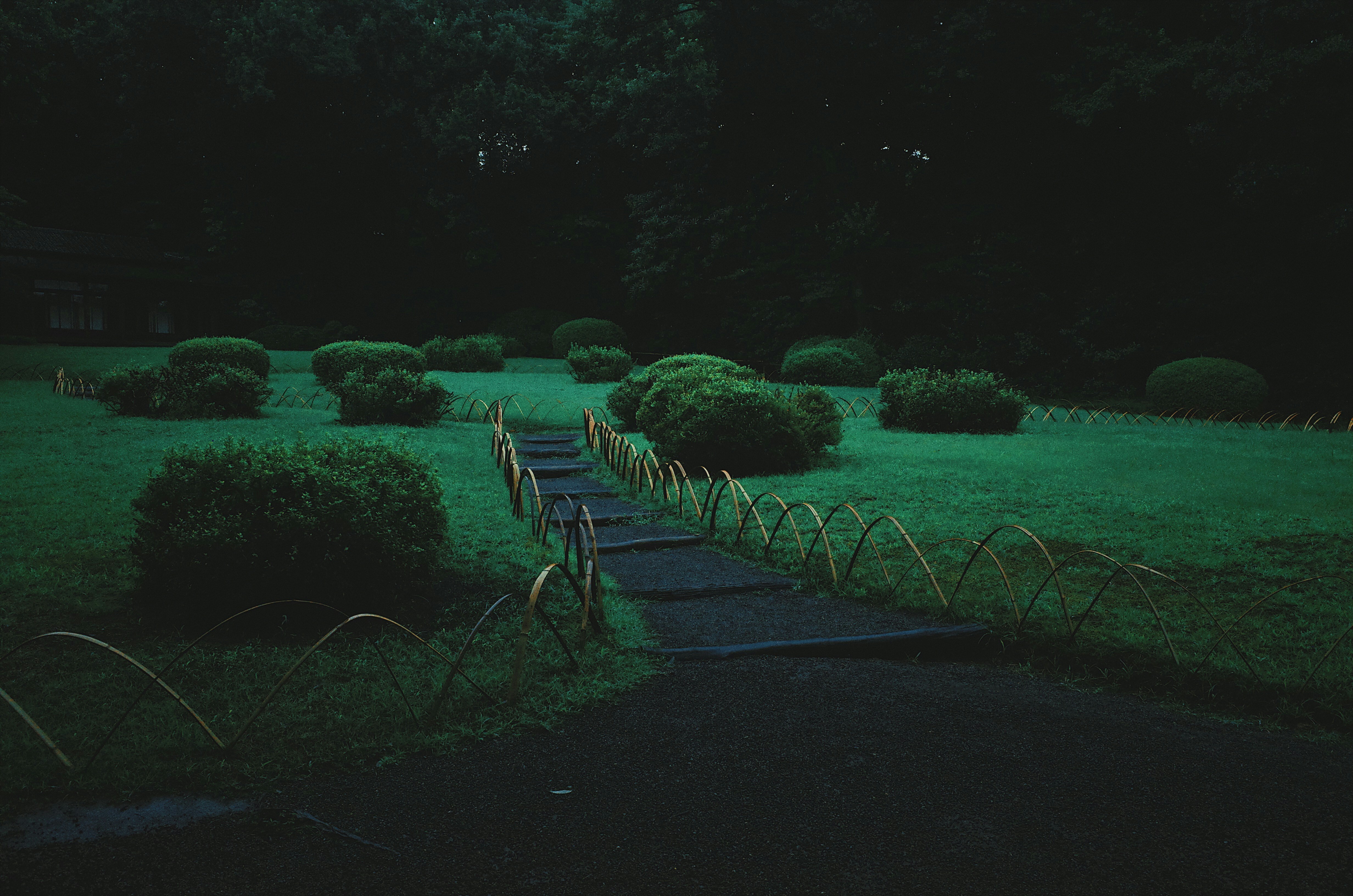 Moonlit Garden: Curved Rails Guiding Light into the Unknown