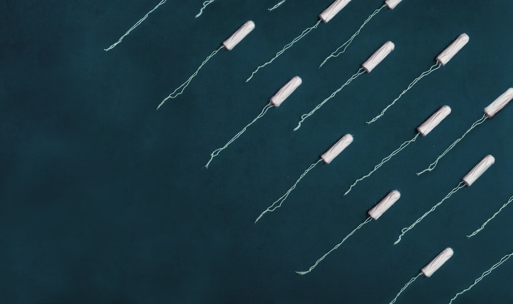 Detaljno Objašnjenje Mejoze: Proces, Faze i Značaj za Formiranje Gameta ...