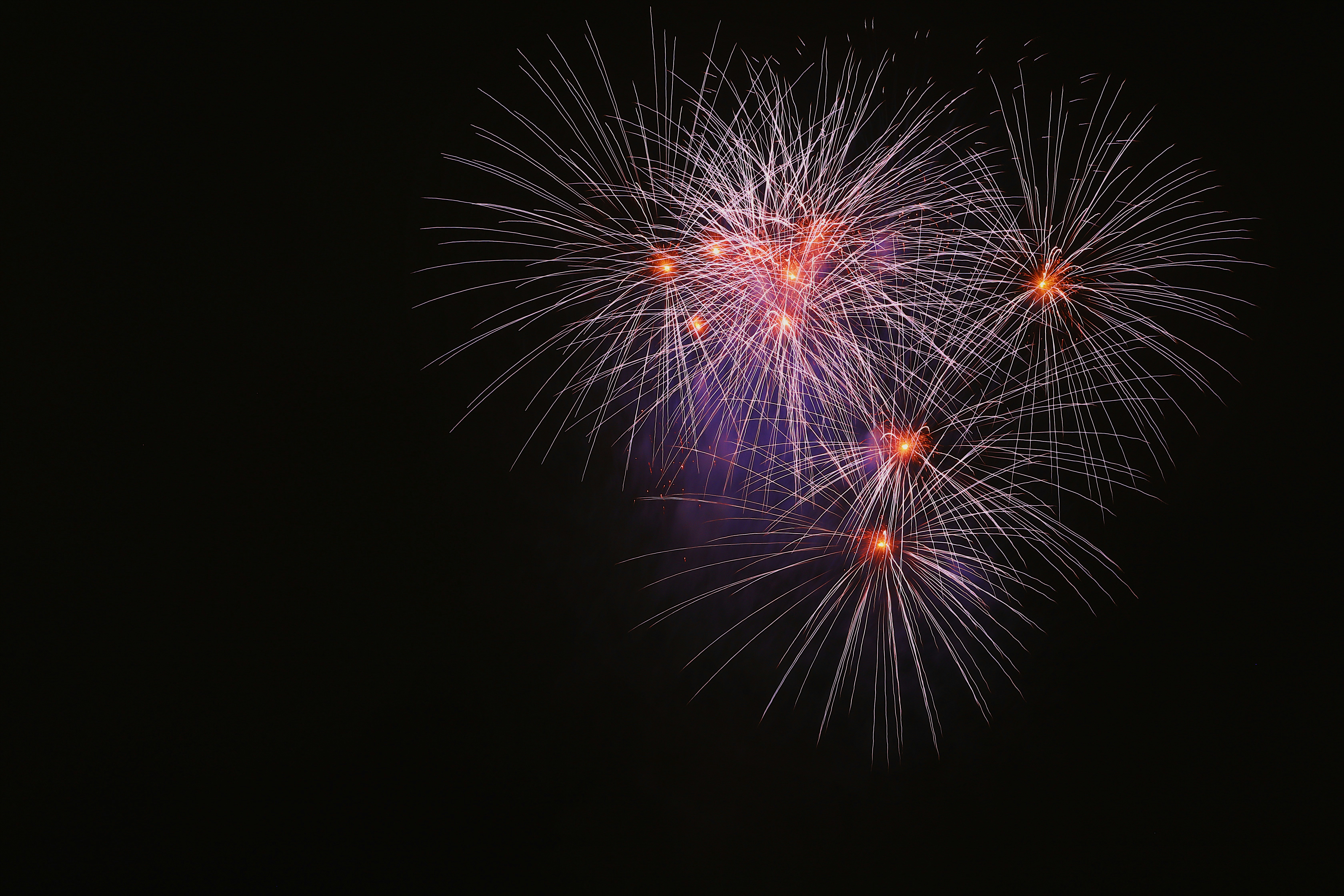 Hanabi 사진 | Unsplash에서 무료 이미지 다운로드