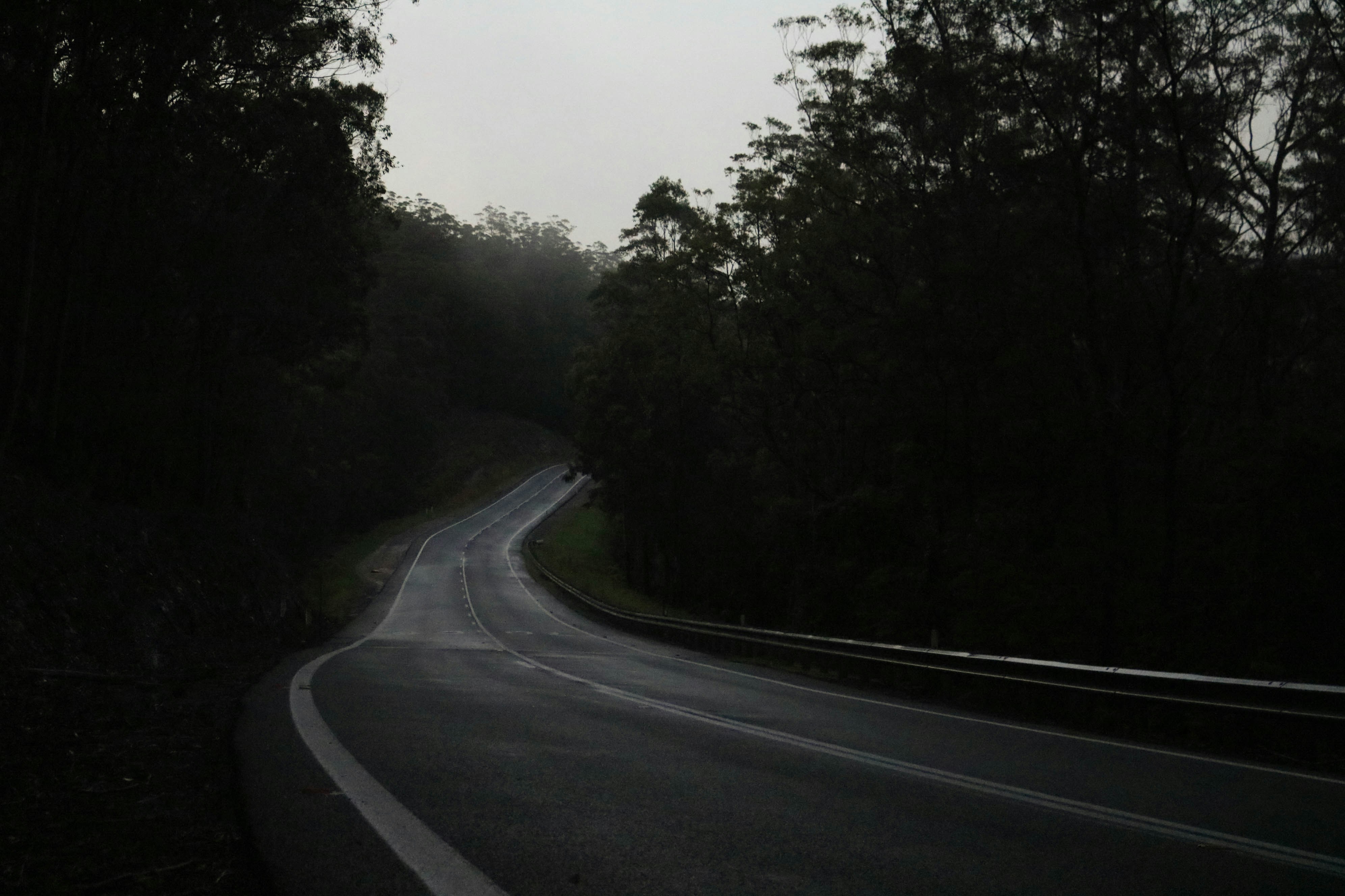 - Saturday, 15 December 2018 at 7:32 pm - Just an hour after a lightning storm hit the area, the mix of warm coastal rainforest and cold air from the storm caused some incredible could formations within the forest. This gave every turn a spooky feel that was definitely worth capturing.