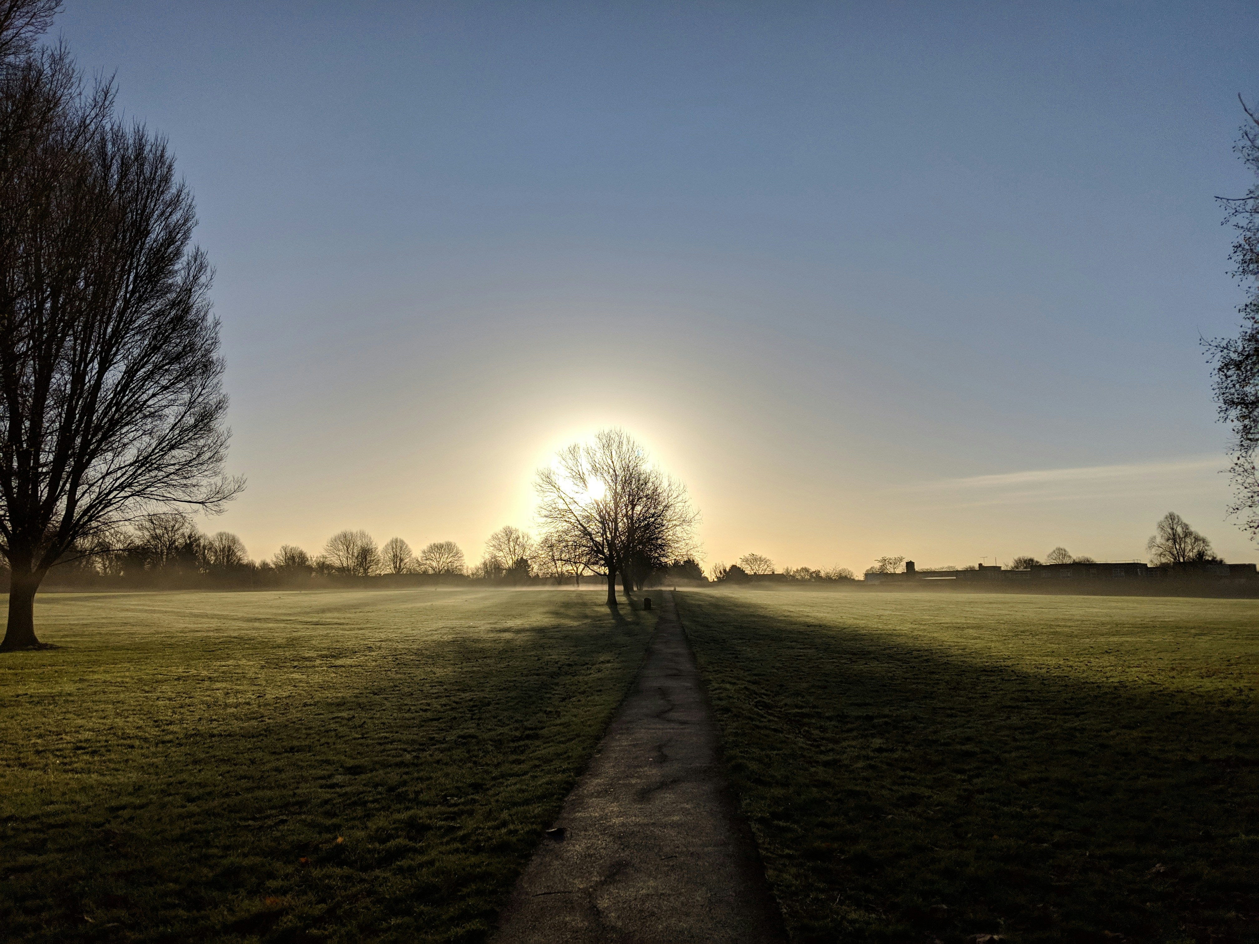 Narrow pathway cutting through lush green grass with the sun rising behind a silhouetted tree.