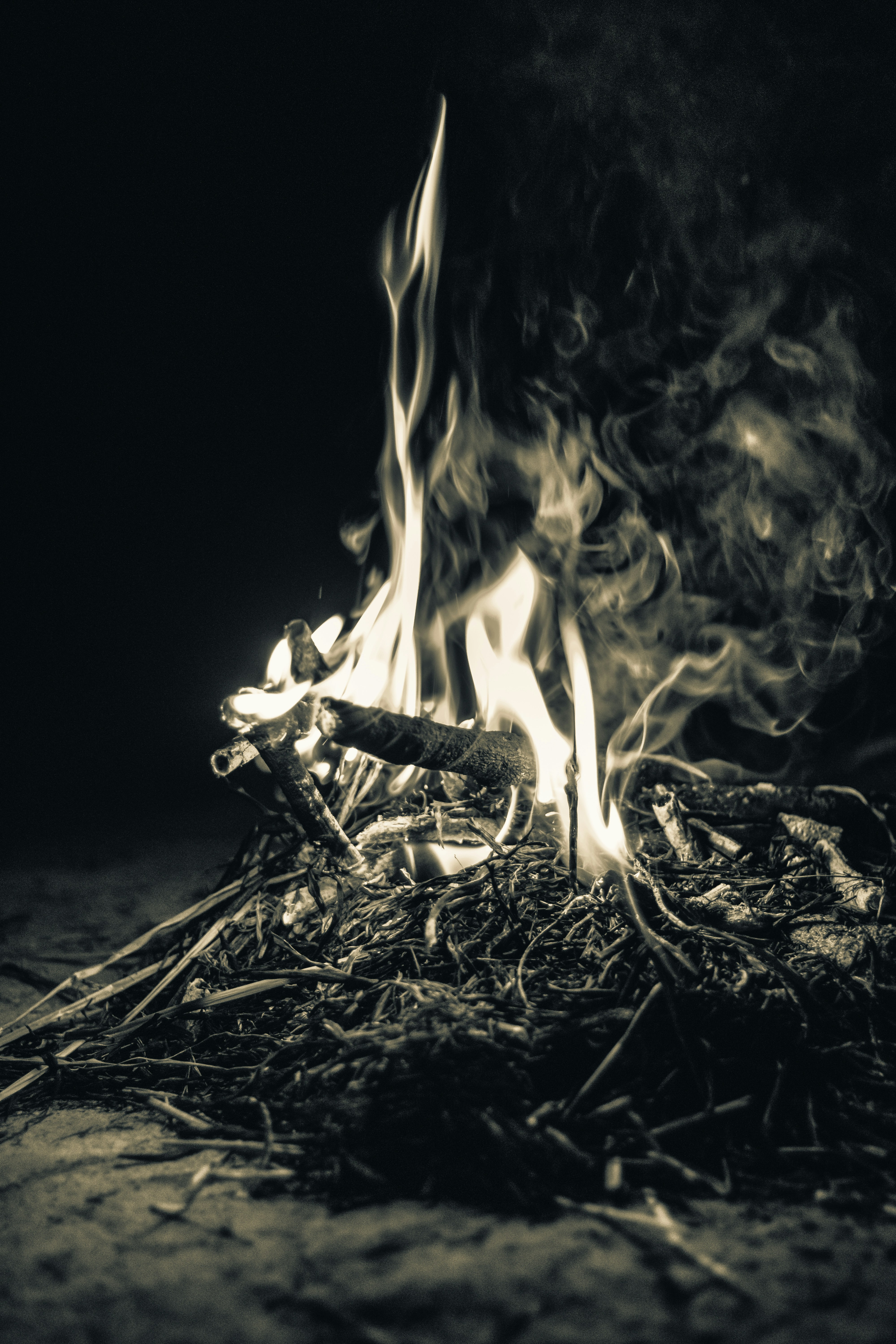 Embers in the Night: A Quiet Campfire Portrait