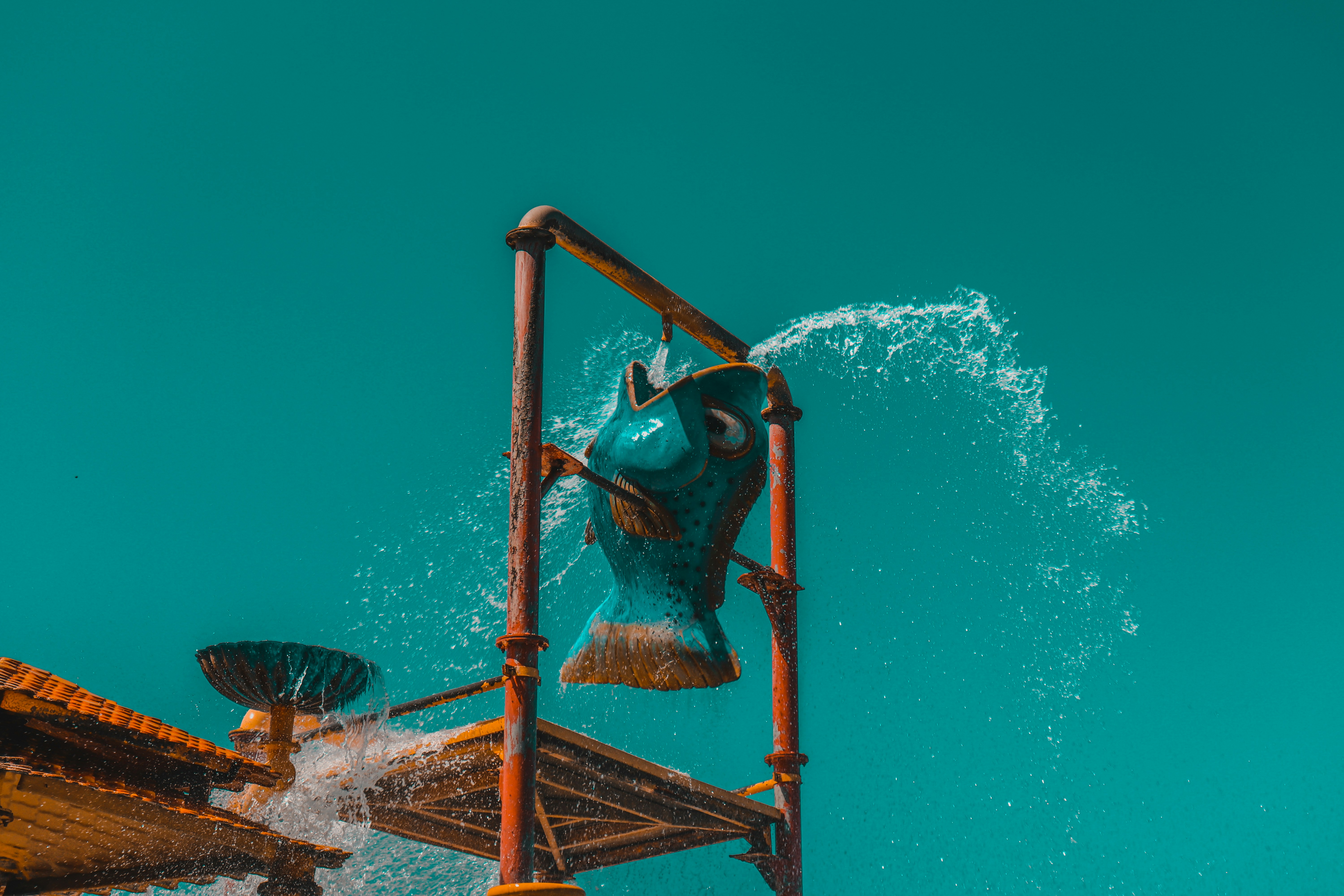 Green ceramic fish water splasher photo – Free Water Image on Unsplash