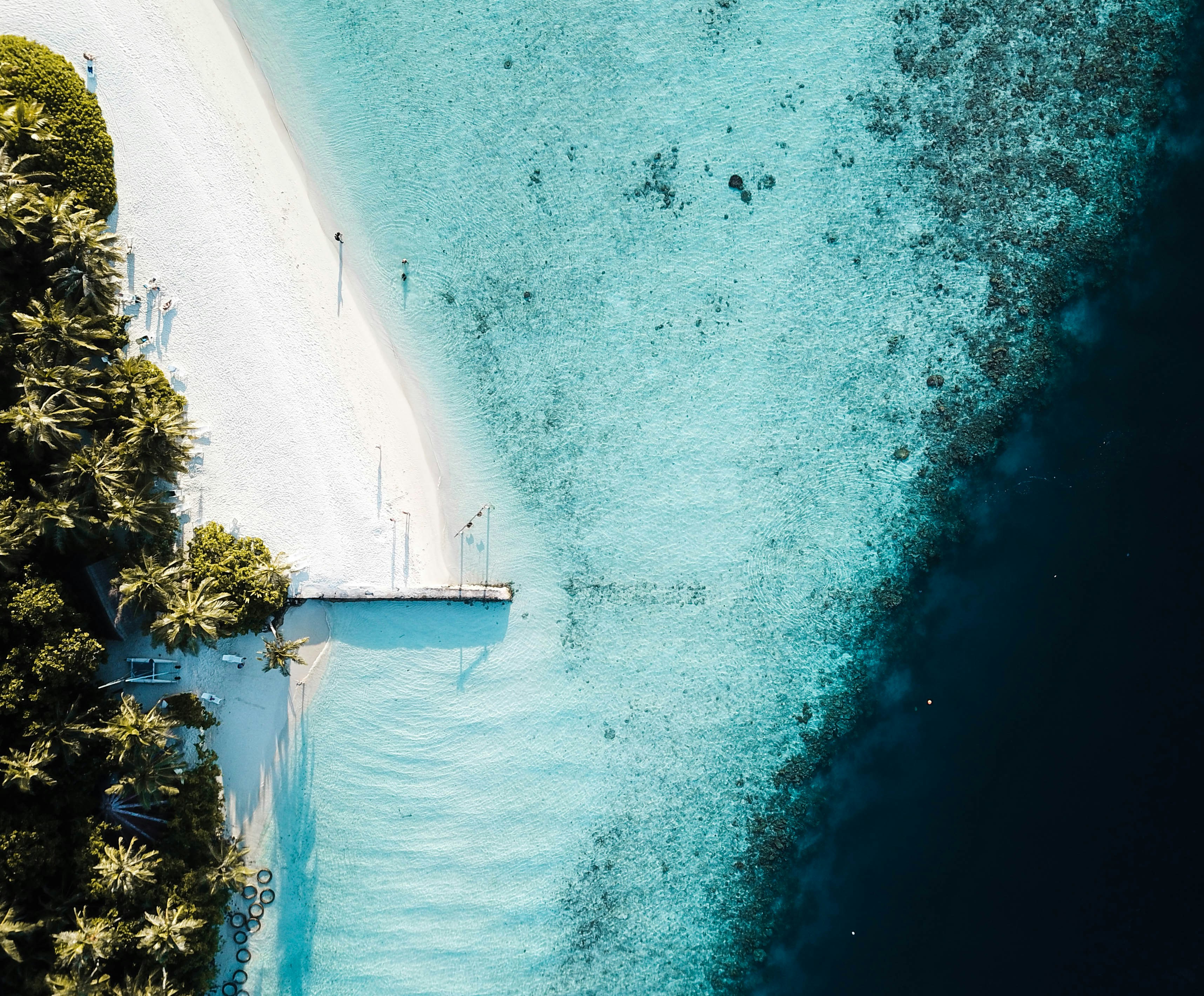 Jetty Over Turquoise Calm: Palm-Fringed Shoreline from Above