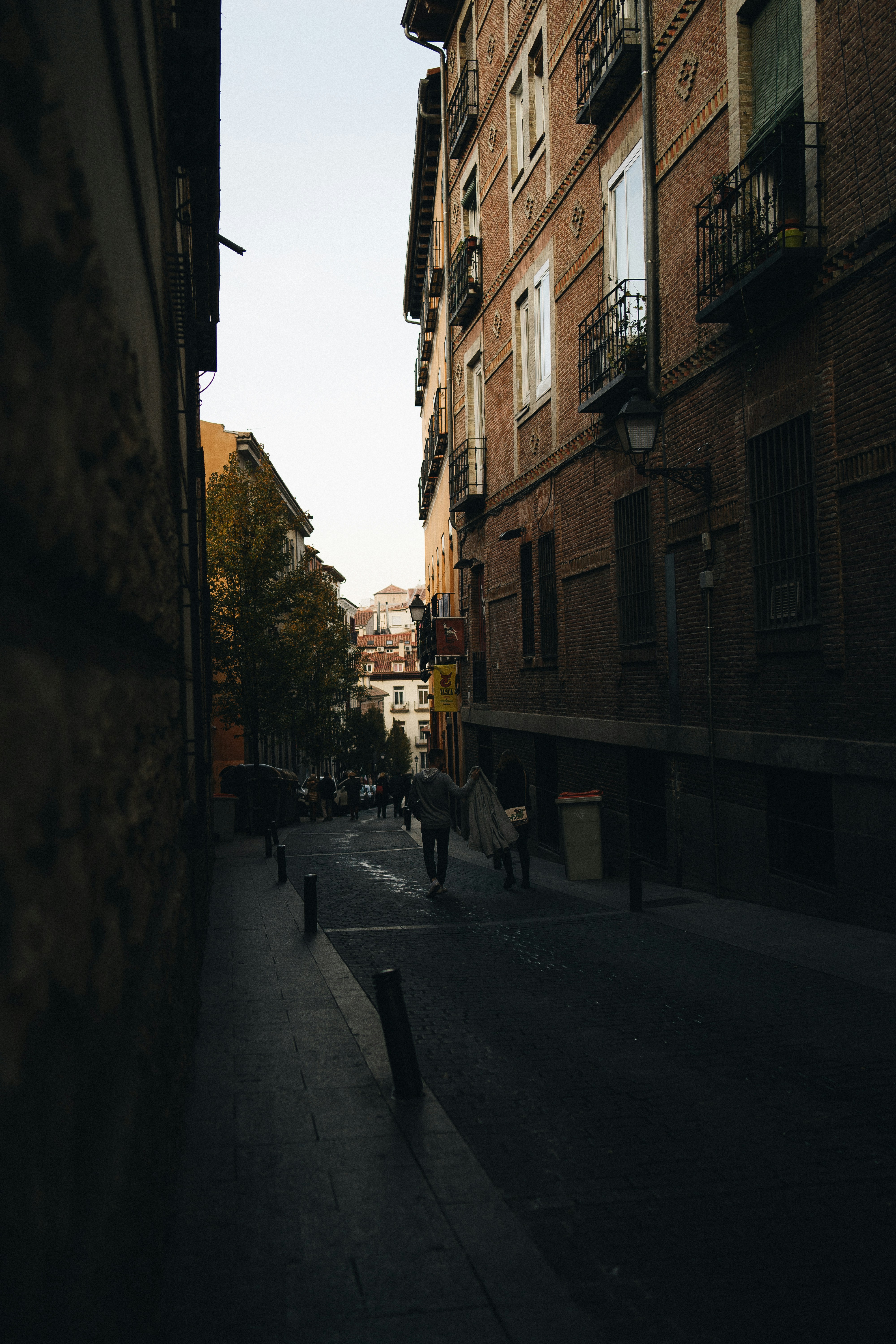 Narrow cobblestone street lined with historic buildings, hinting at the charm of a bustling city. The soft evening light casts gentle shadows.
