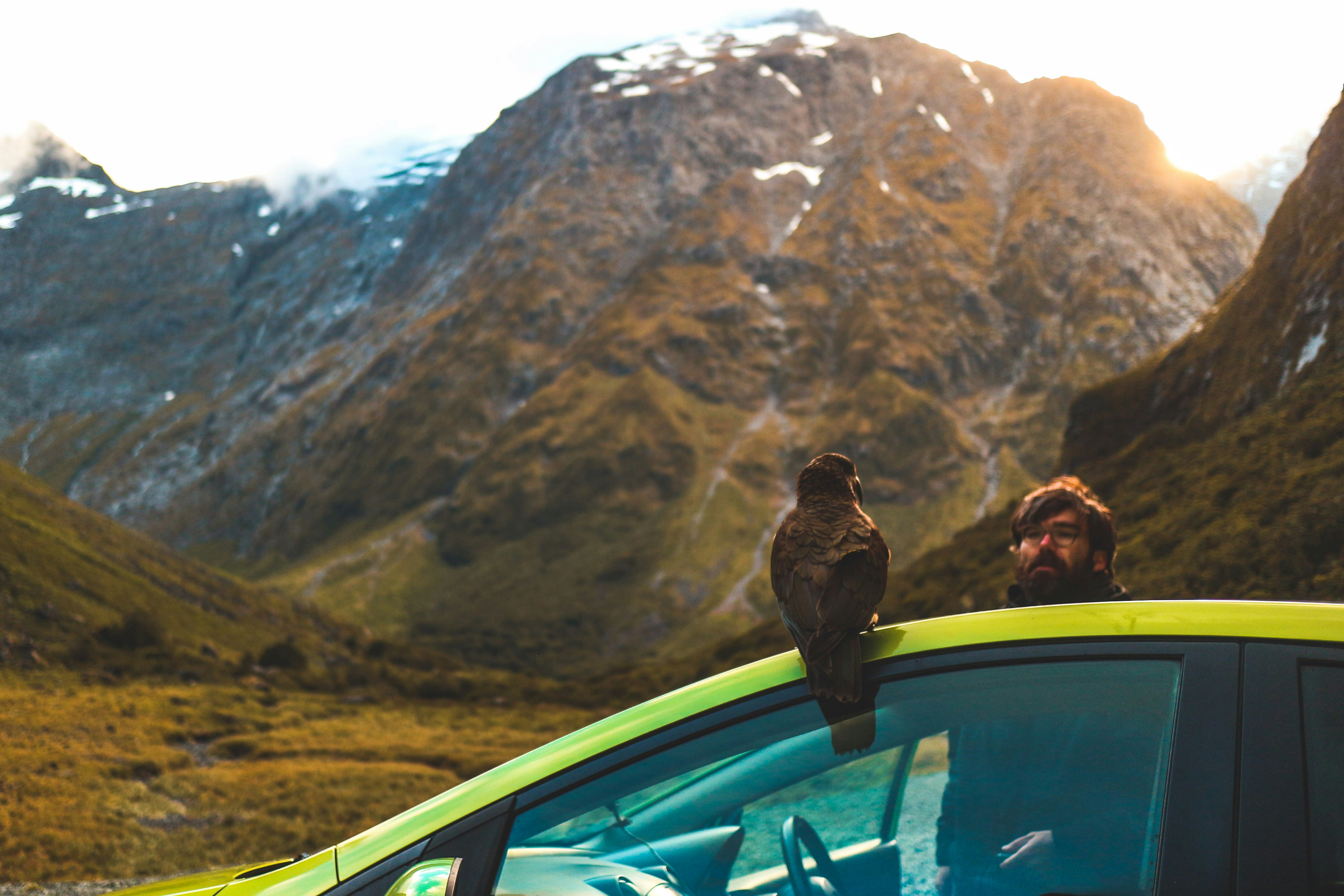 A kea perched on a car door while a man gazes into the distance, surrounded by majestic mountains and lush landscapes.