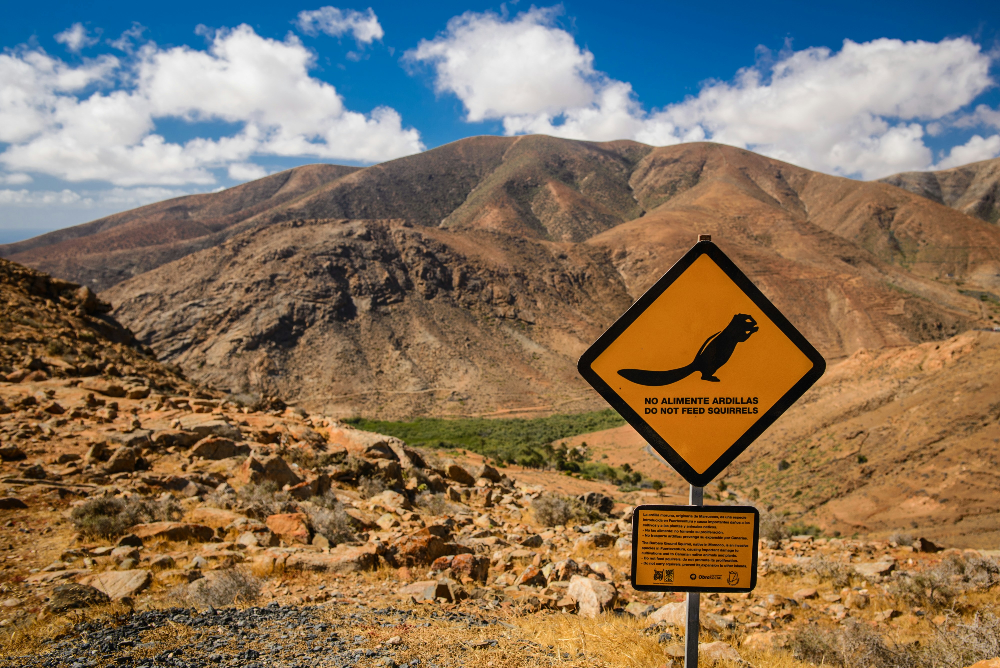 Caution in the Wild: A Reminder of Nature's Rules