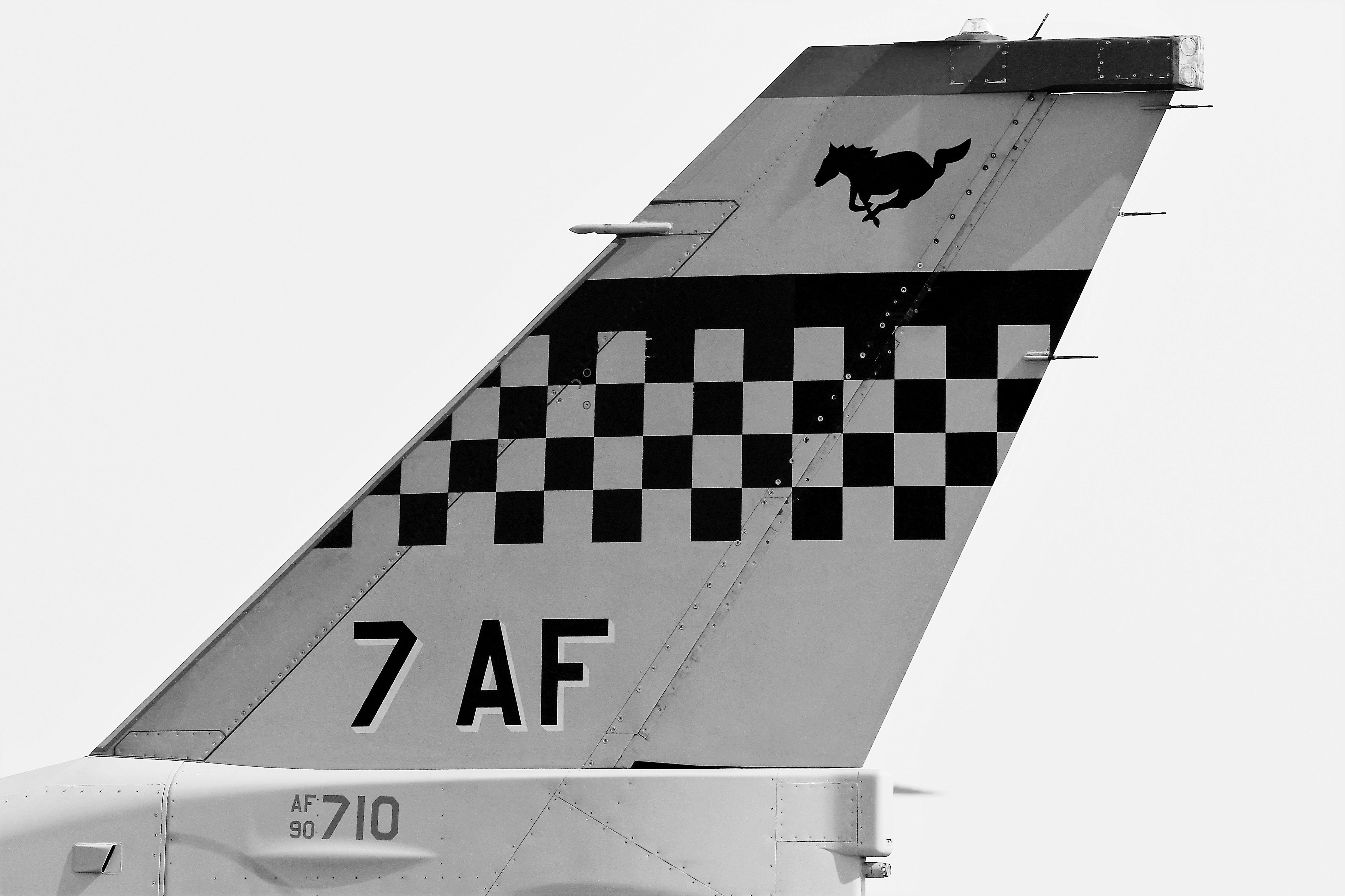 Mustang Tail: Checkerboard Markings meet a Galloping Emblem