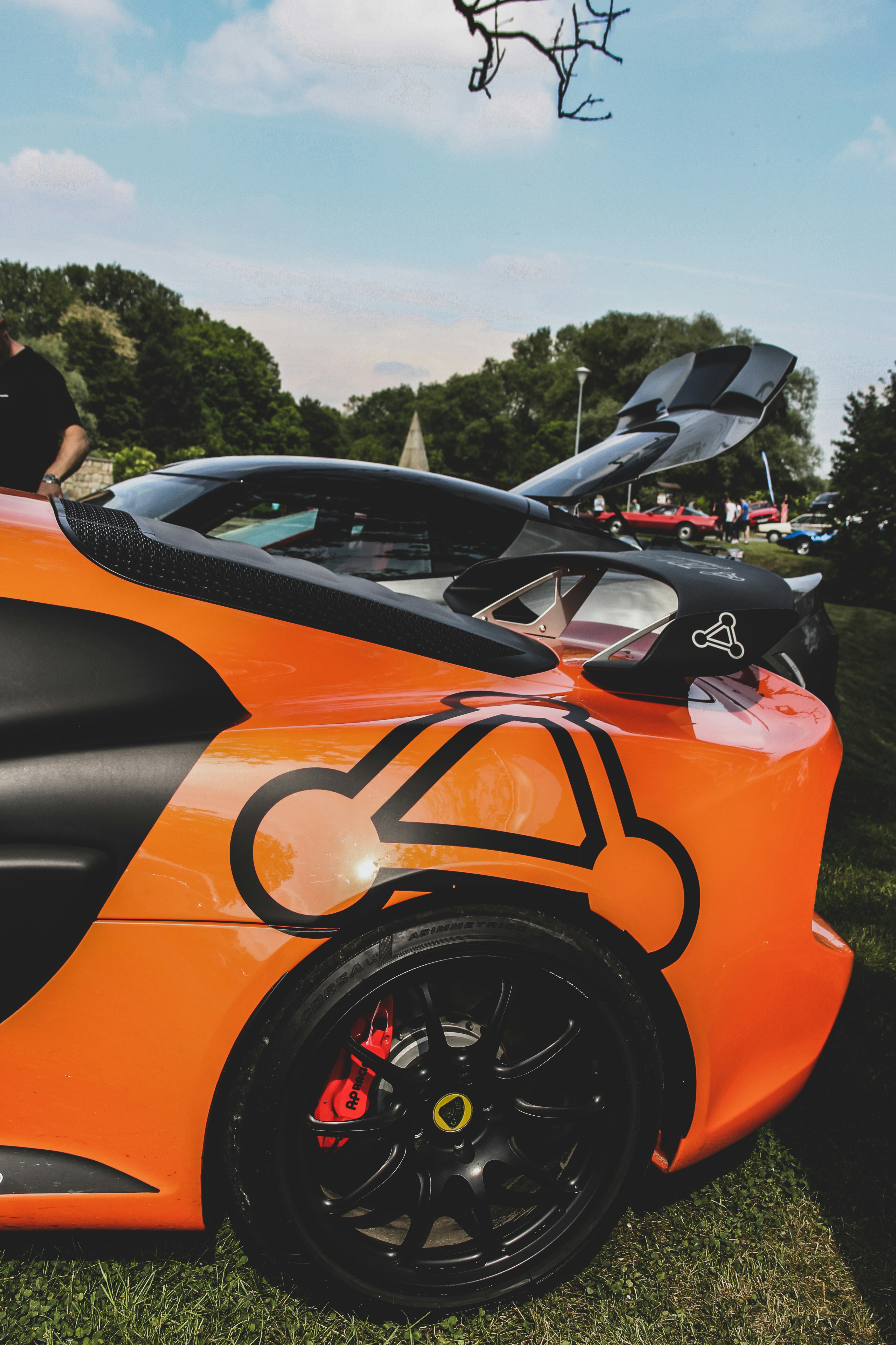 Orange Fury: A Sleek Supercar Basking in Parkside Light
