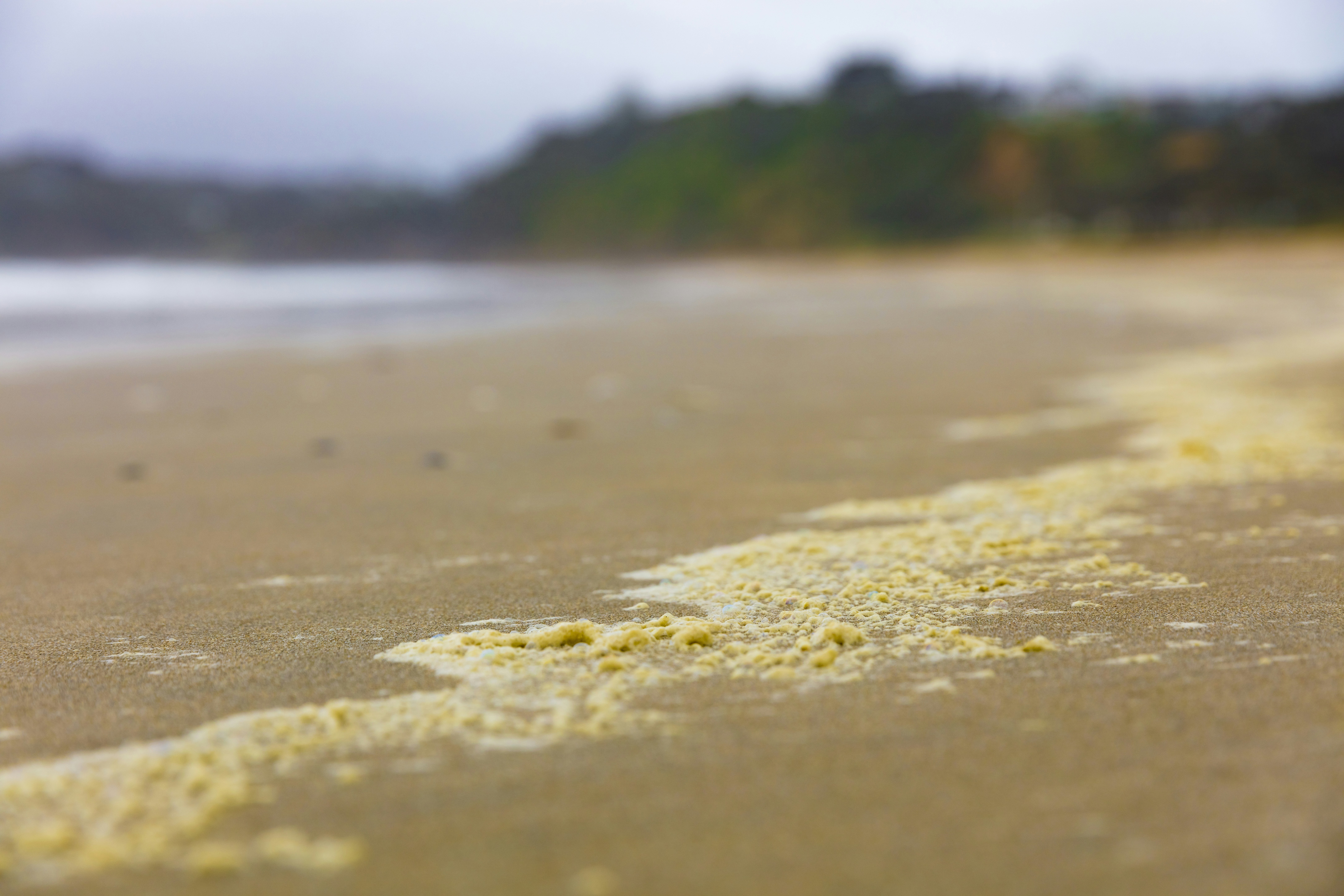 Foam Trails Along a Quiet Beach Edge