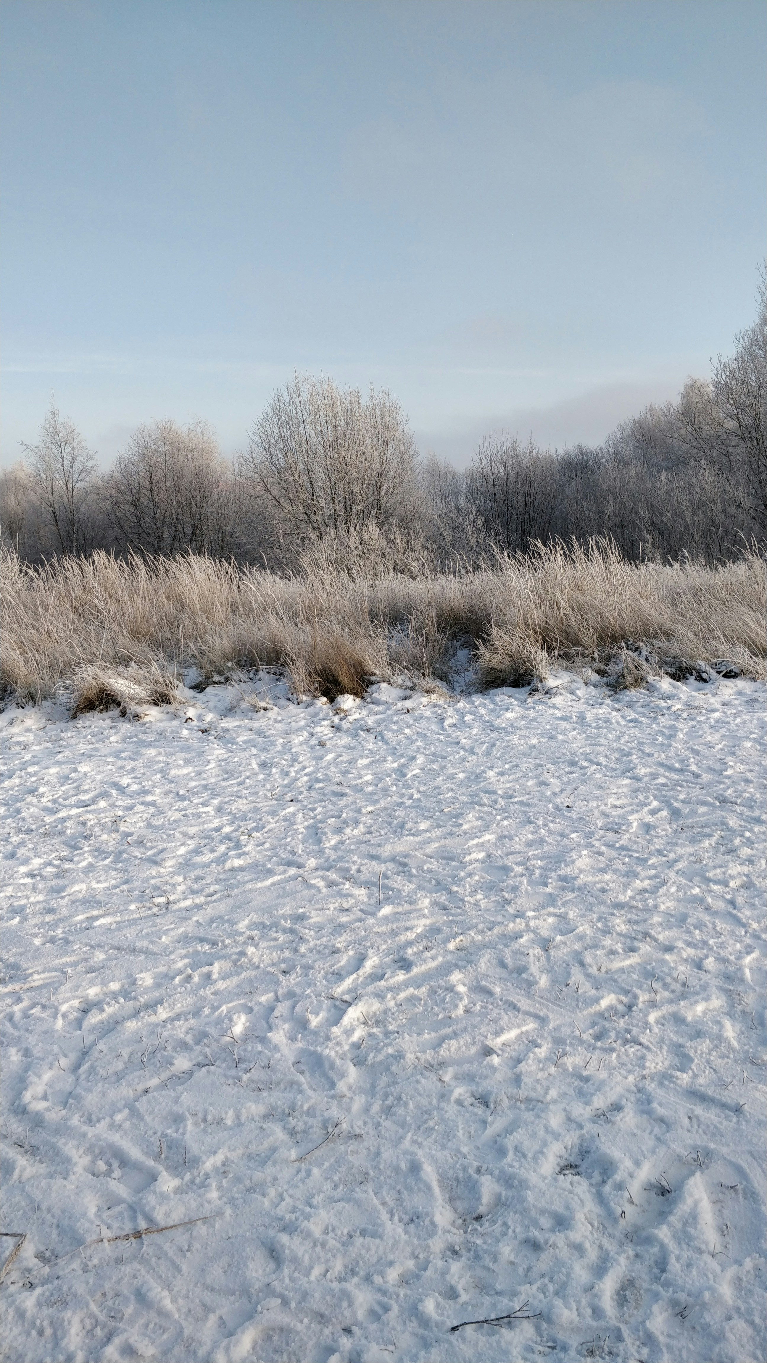 Snow outdoor during daytime photo – Free Grey Image on Unsplash